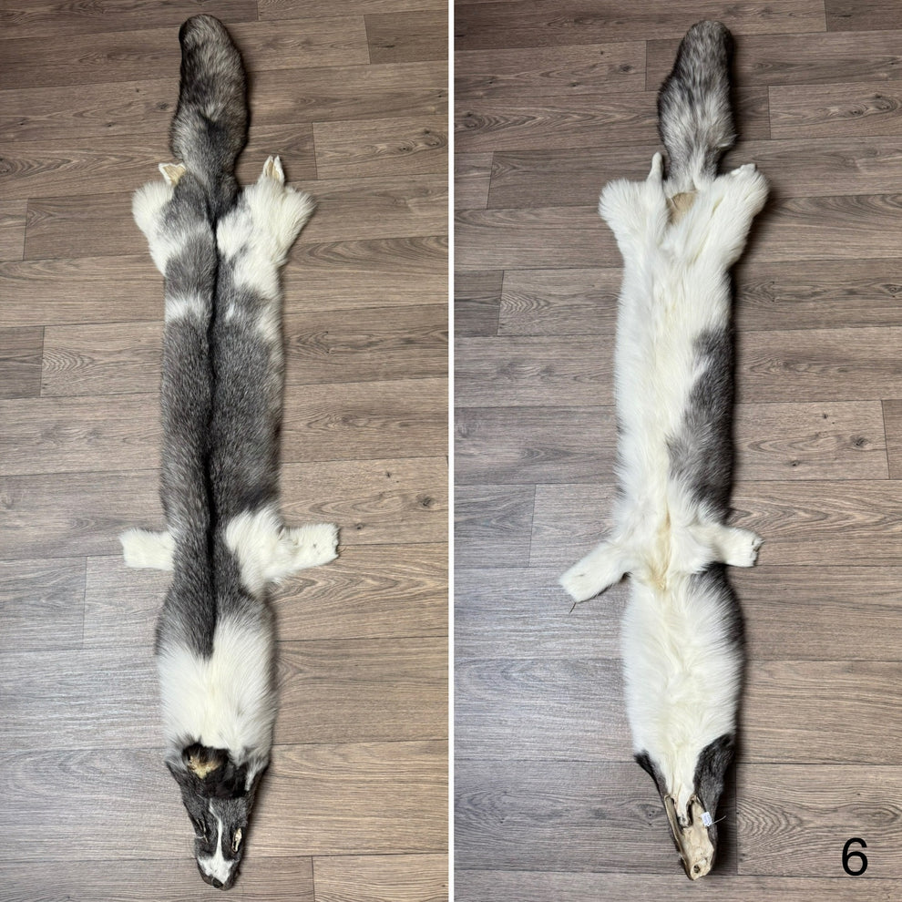 Marble Frost fox pelt (6) (extremely large pelt) – Orange Lion Creations