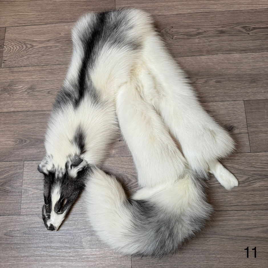 Marble Frost fox – Orange Lion Creations