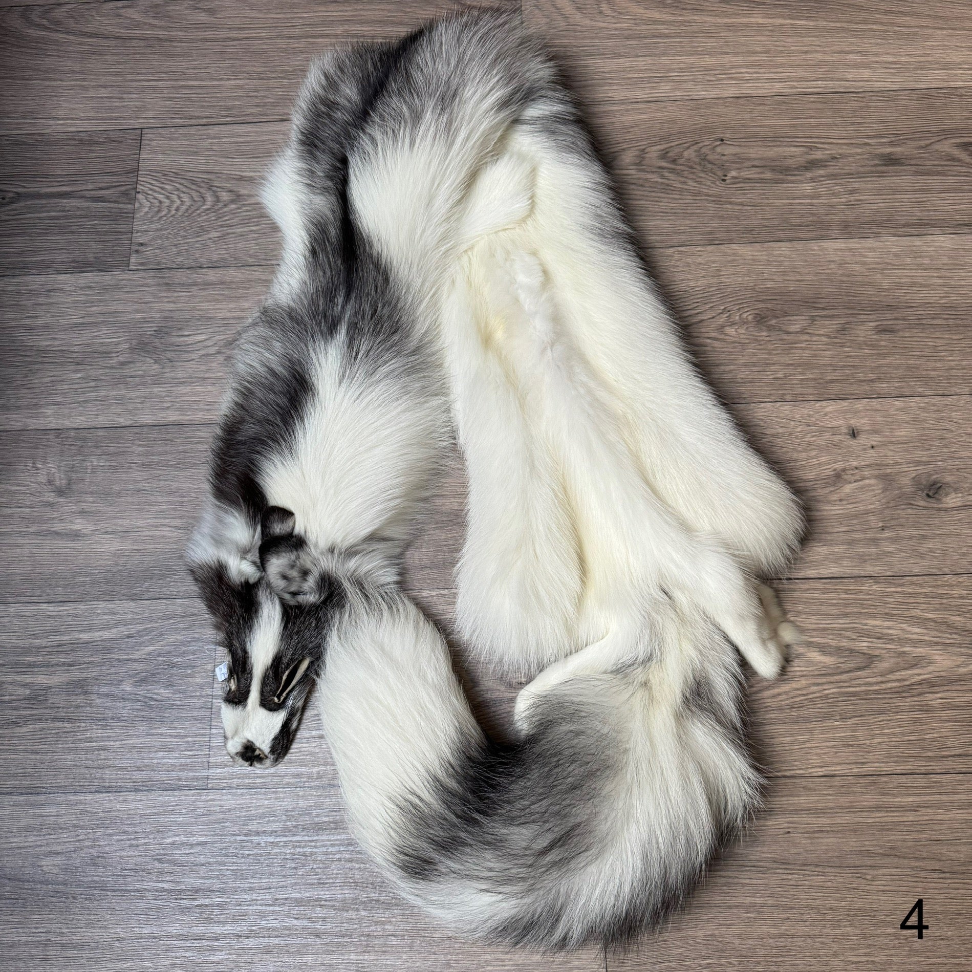 Marble Frost fox pelt (4) – Orange Lion Creations