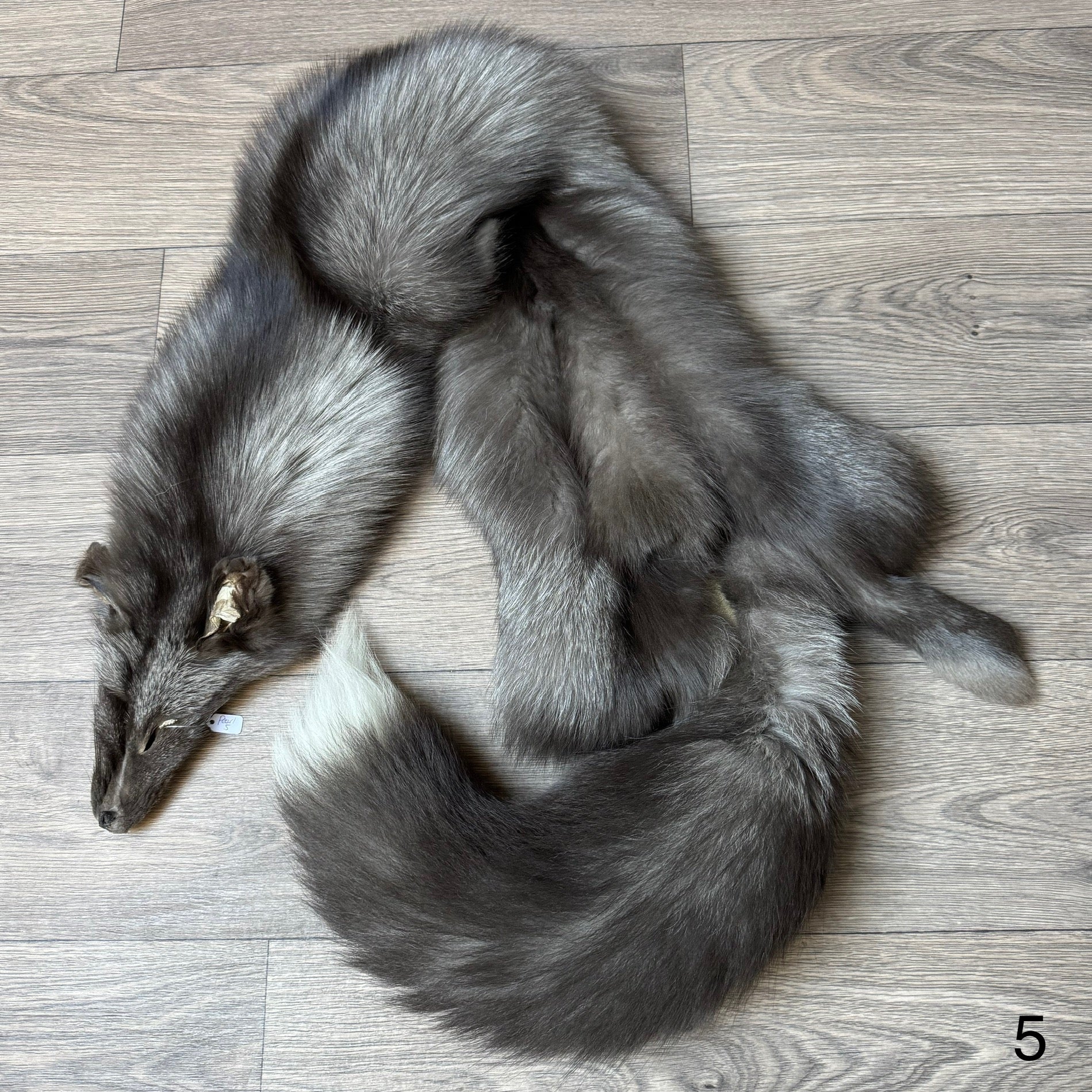 Pearl fox pelt (5) – Orange Lion Creations