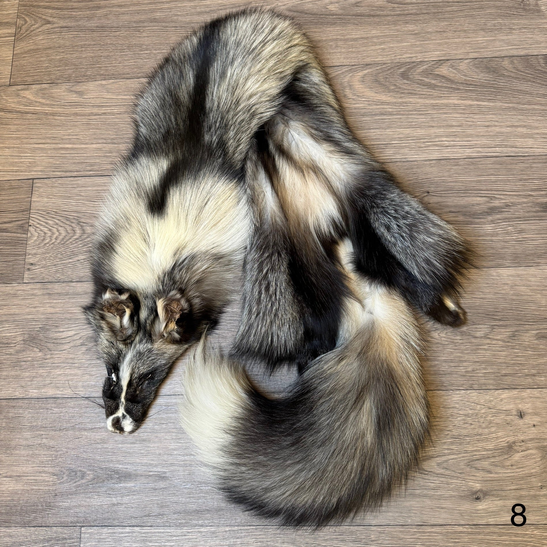 Cross Whitemark fox pelt (8) – Orange Lion Creations