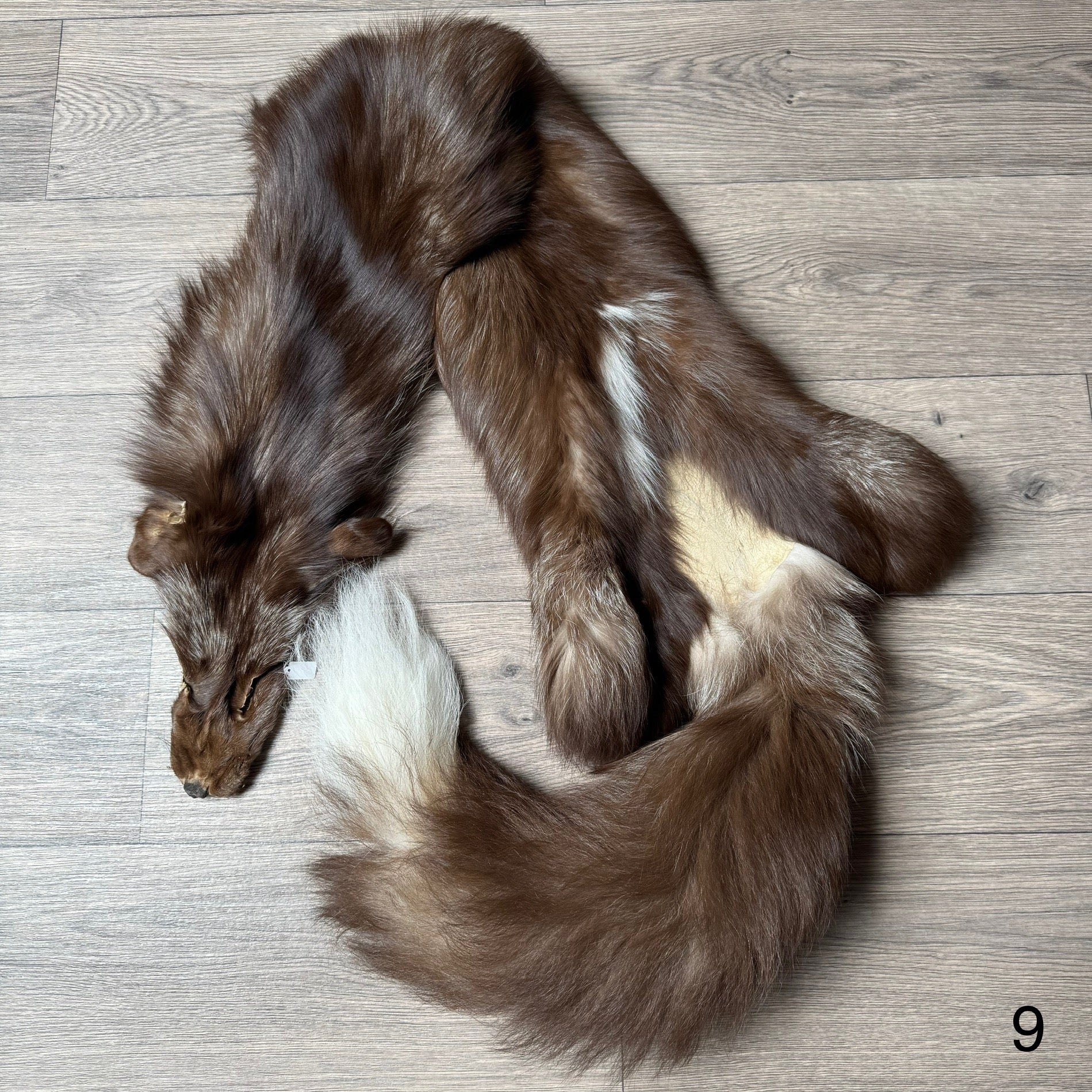 Burgundy fox pelt (9) – Orange Lion Creations