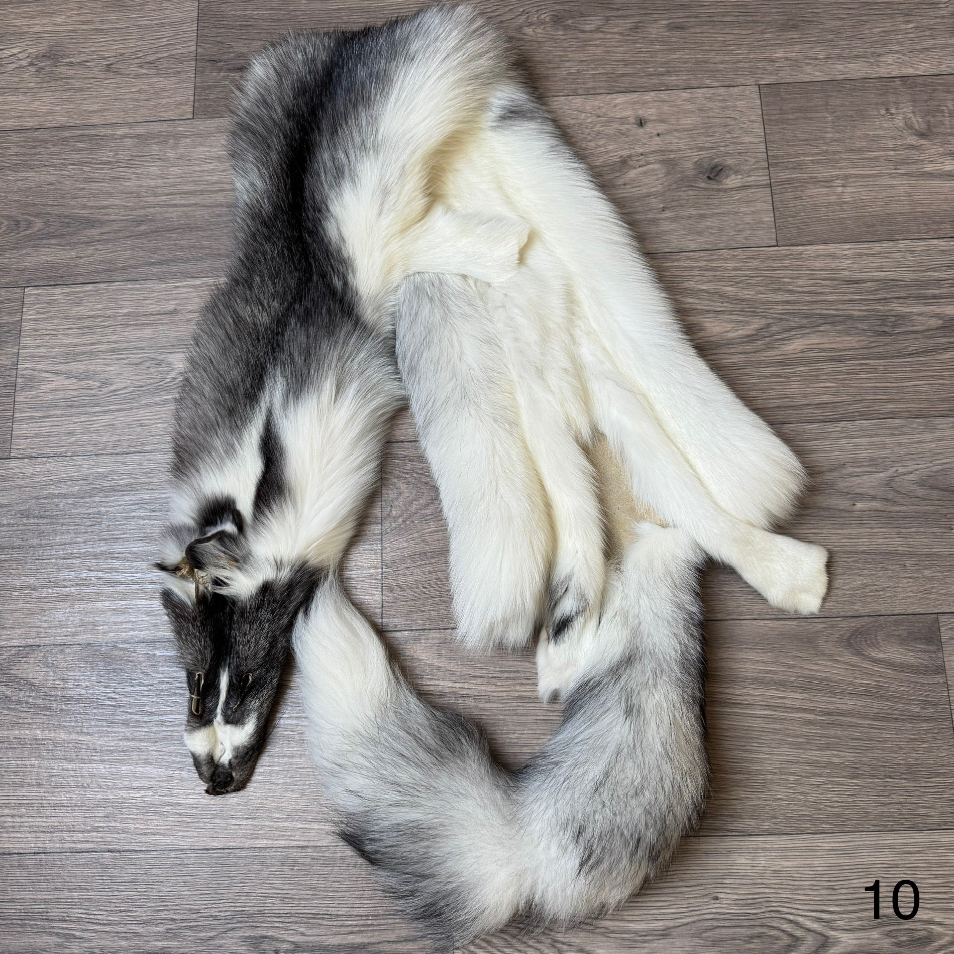 Marble Frost fox pelt (10) – Orange Lion Creations