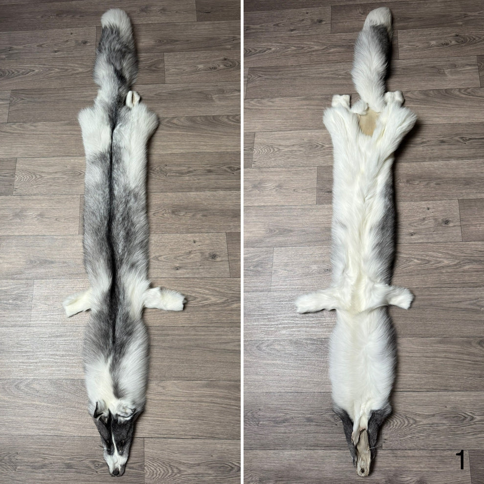 Marble Frost fox pelt (1) (extremely large pelt) – Orange Lion Creations