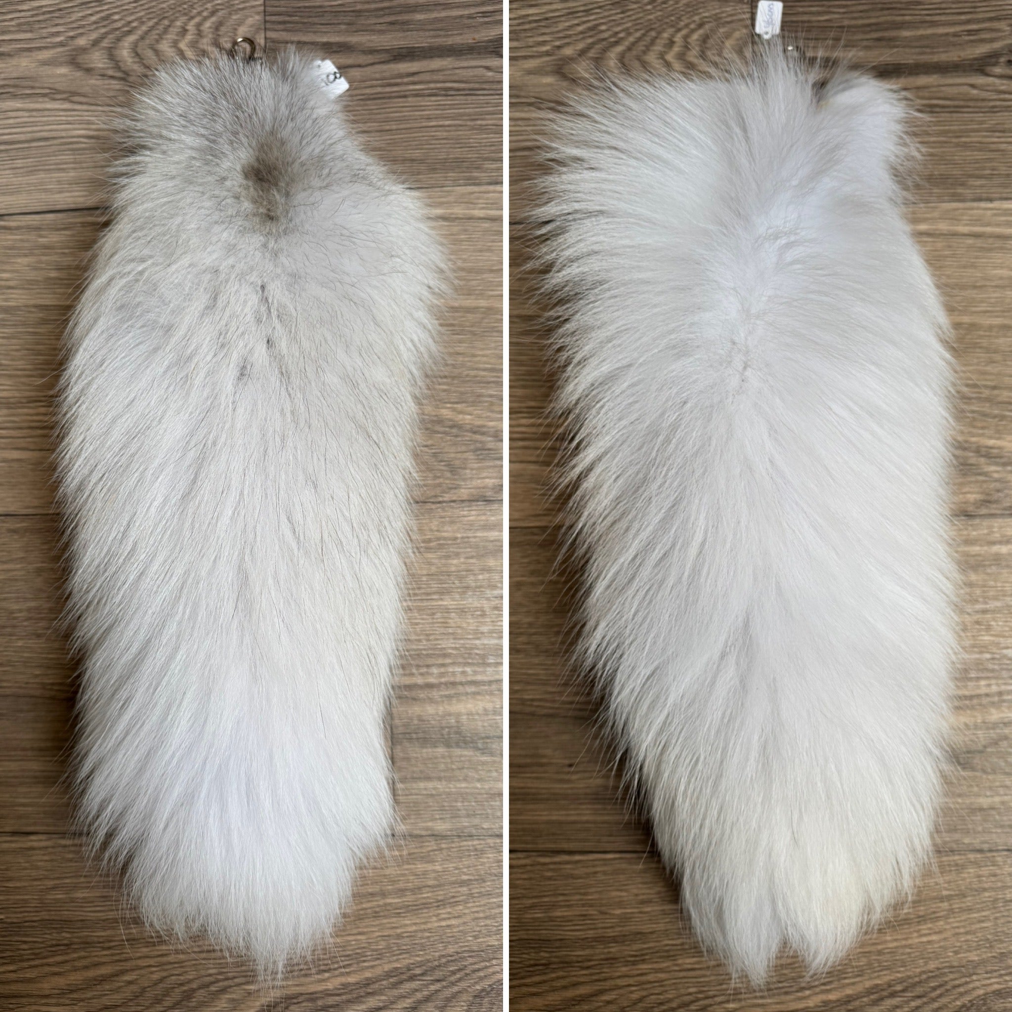 Arctic Golden Island fox tail keychain (100) – Orange Lion Creations