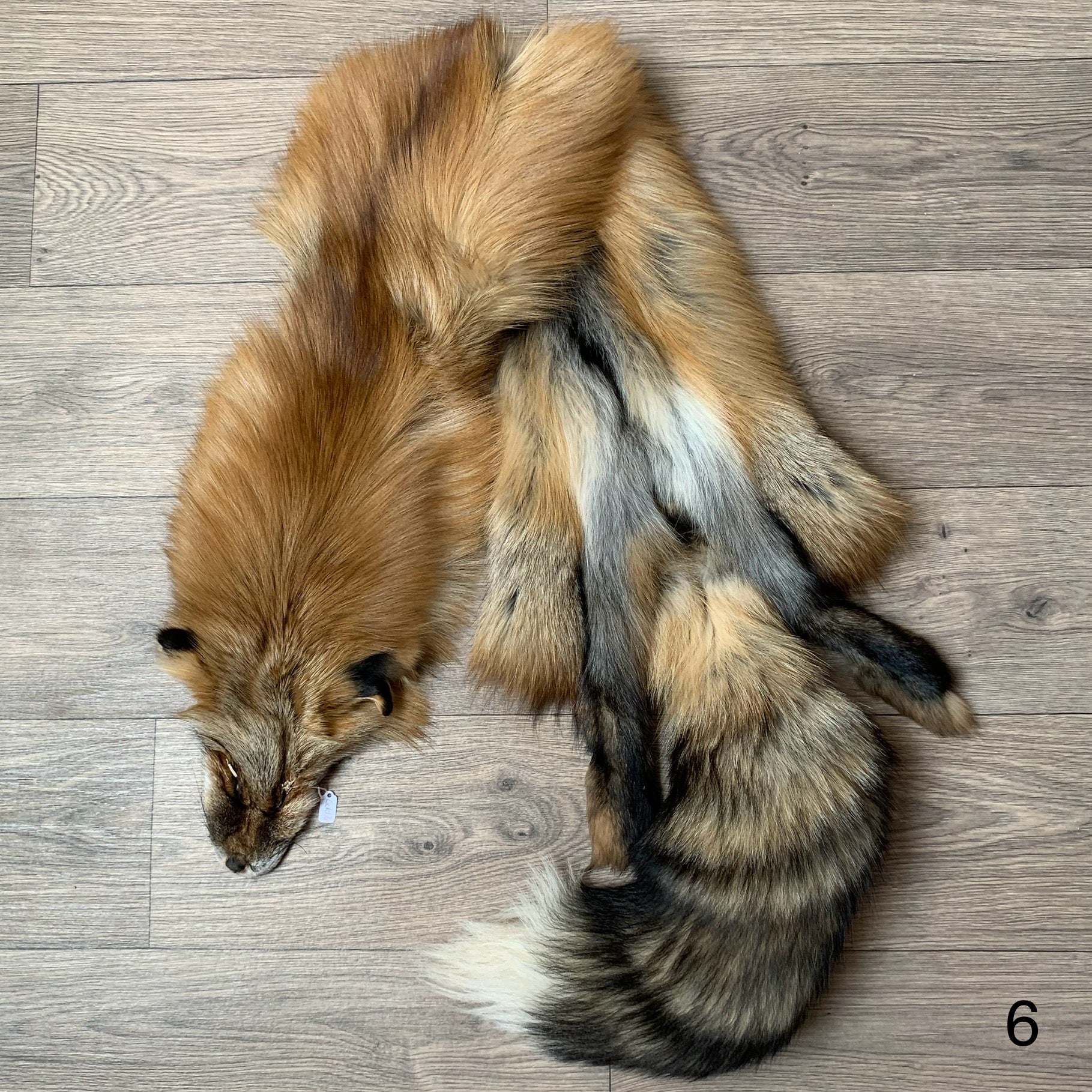 Gold fox pelt (6) – Orange Lion Creations
