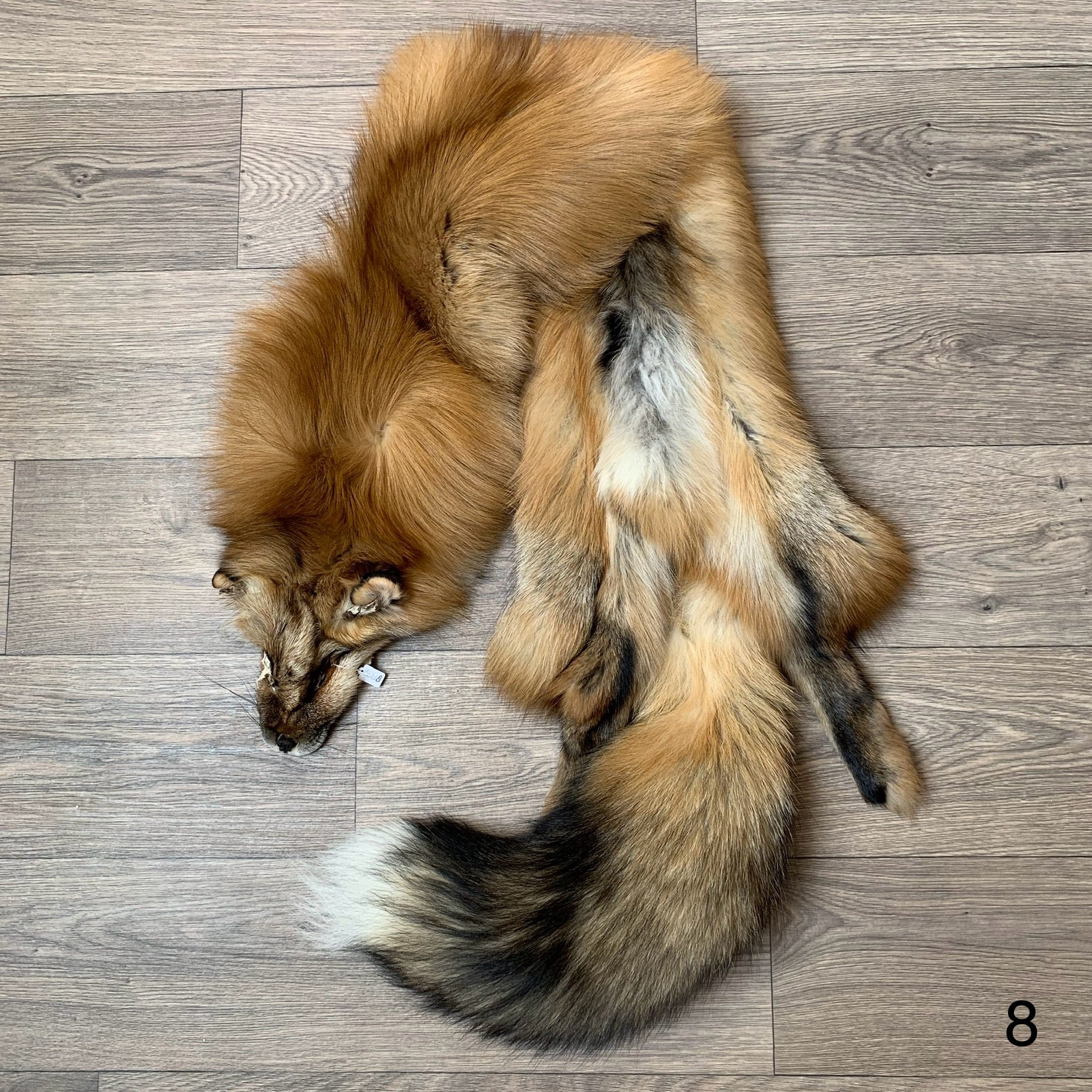 Gold fox pelt (8) – Orange Lion Creations