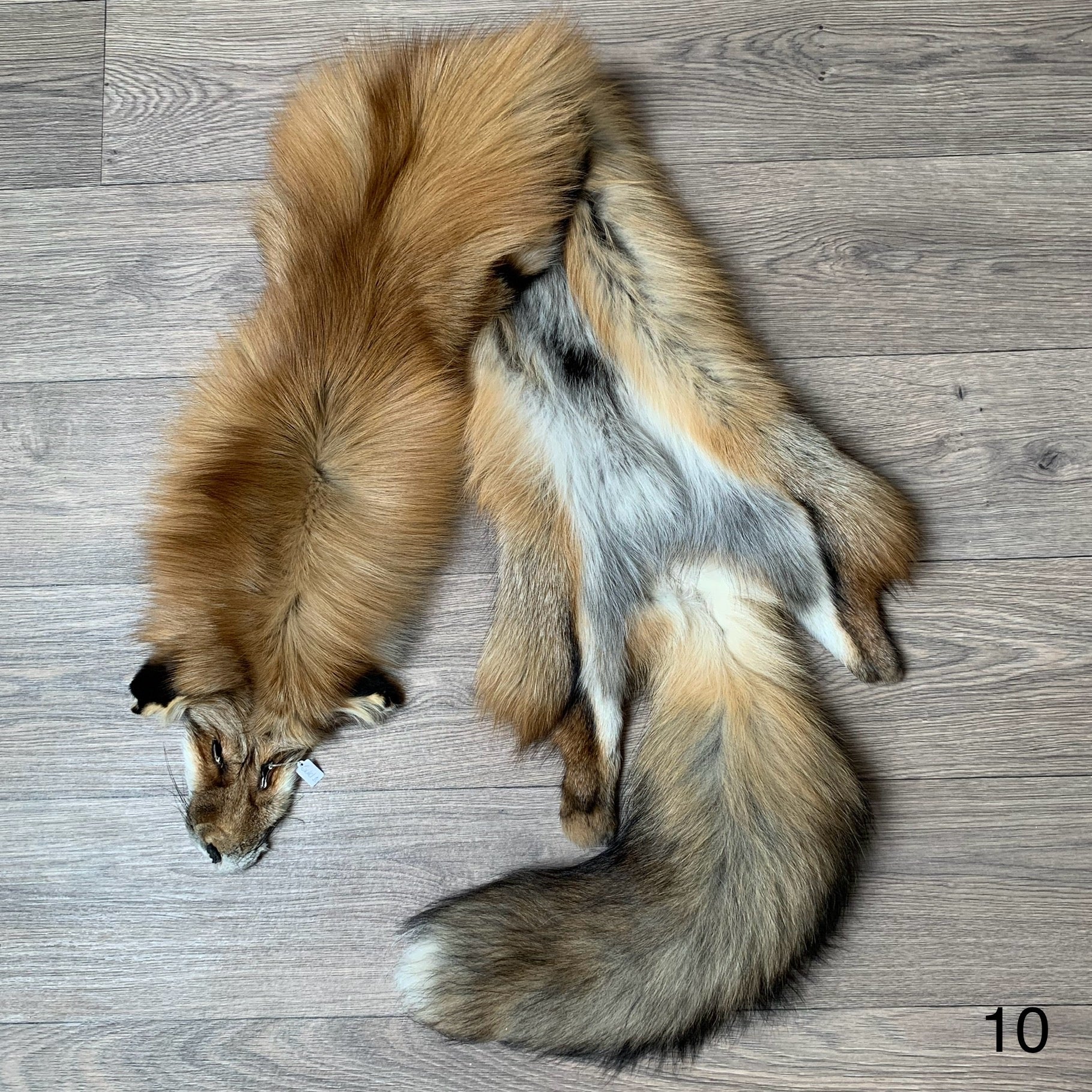 Gold fox pelt (10) – Orange Lion Creations
