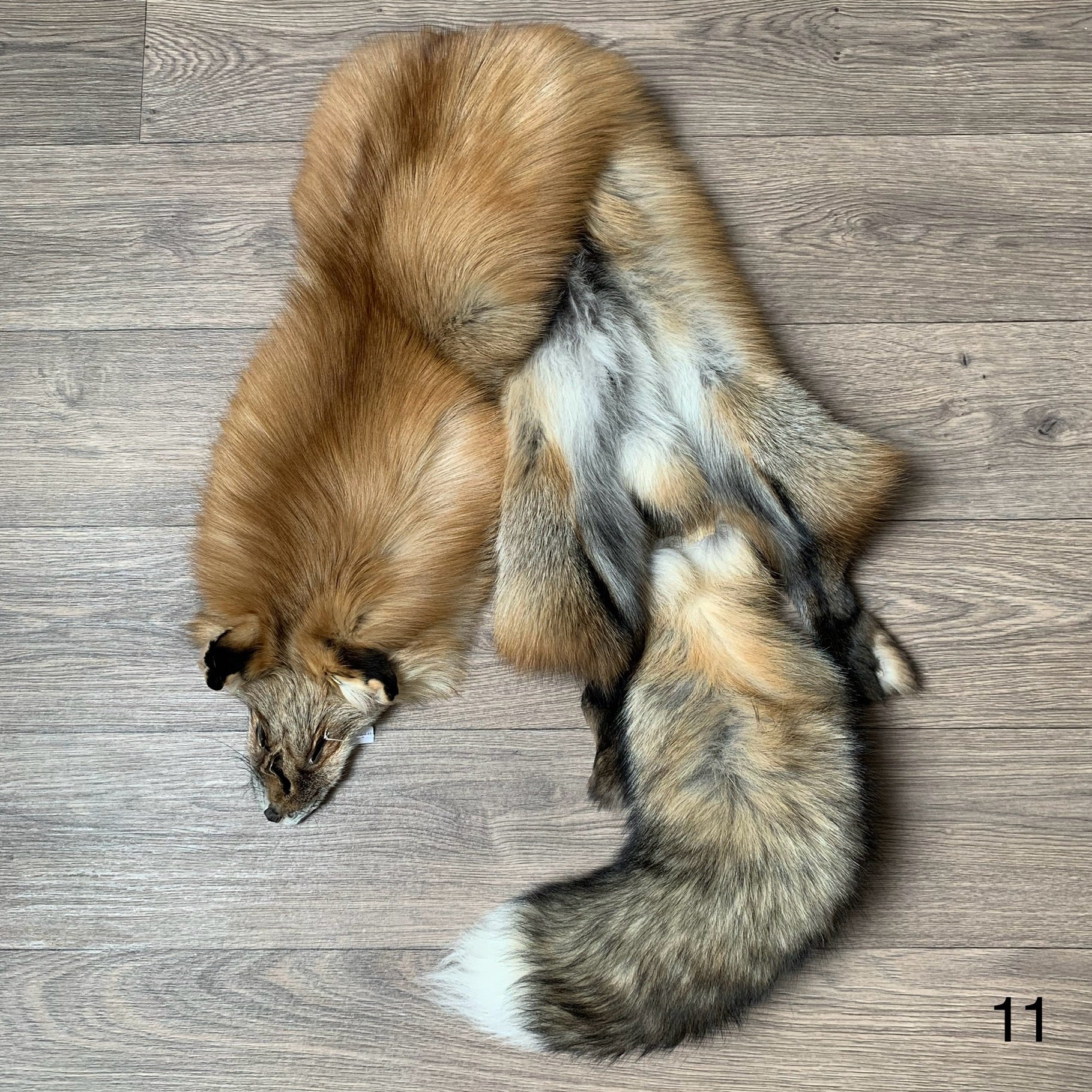 Gold fox pelt (11) – Orange Lion Creations