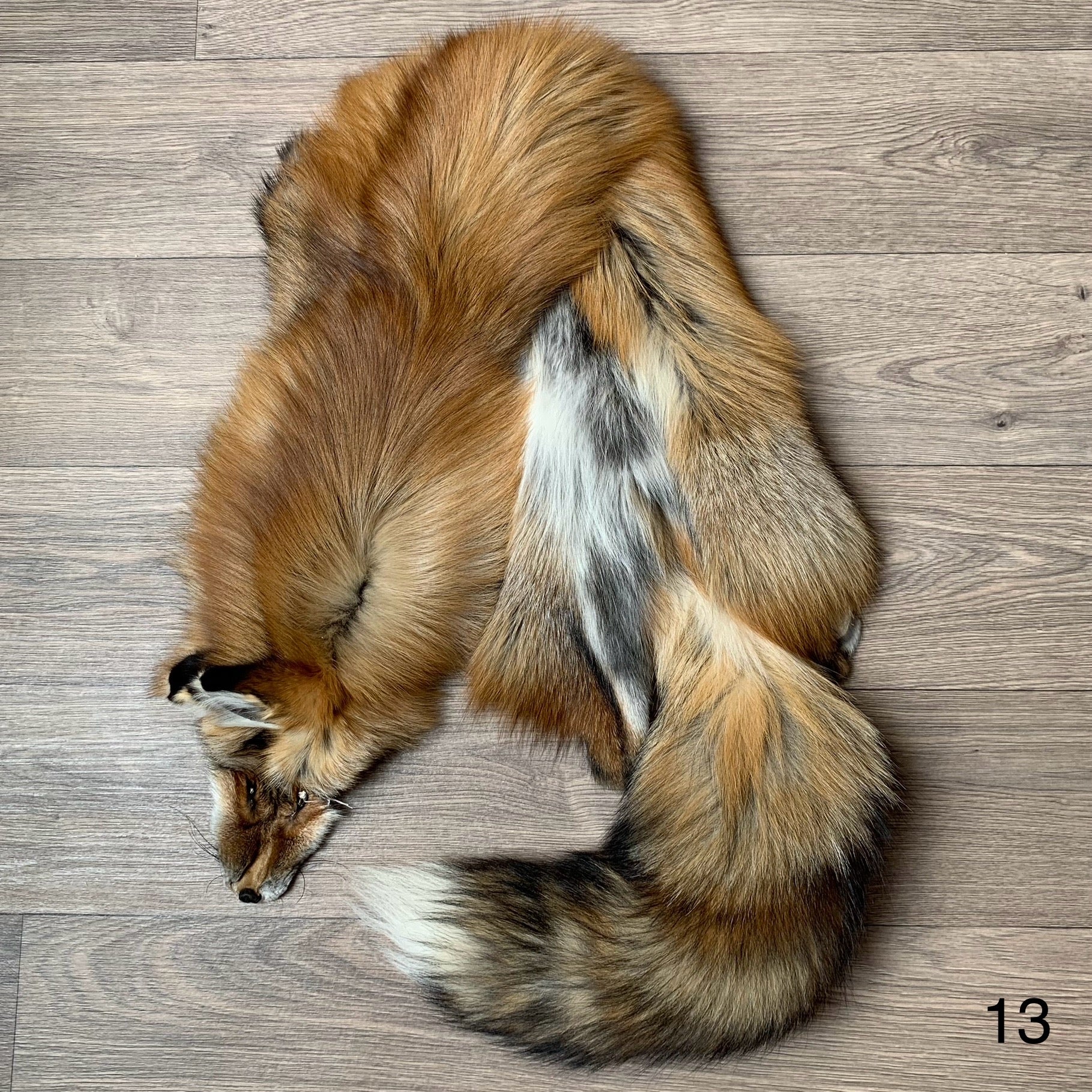 Gold fox pelt (13) – Orange Lion Creations