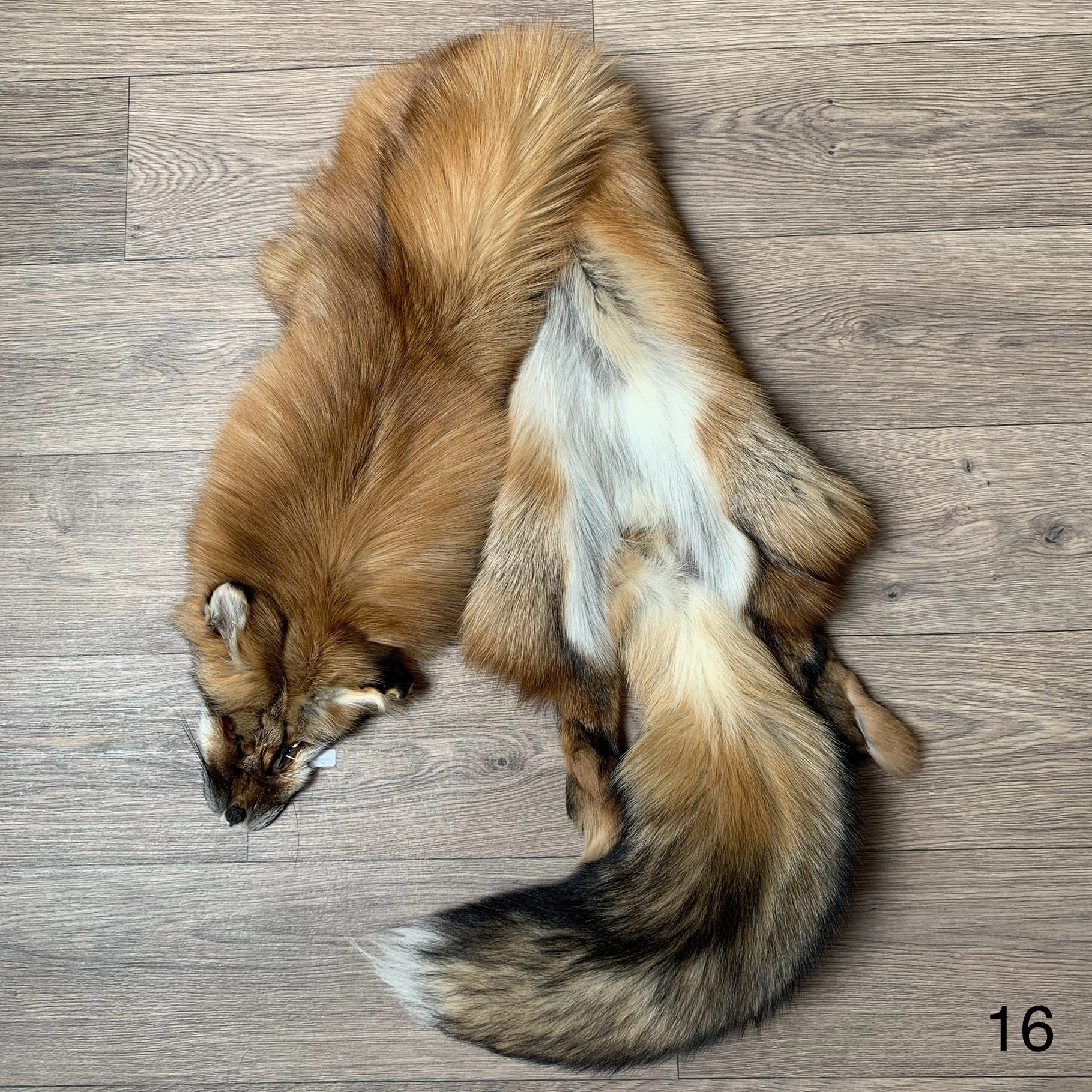 Gold fox pelt (16) – Orange Lion Creations