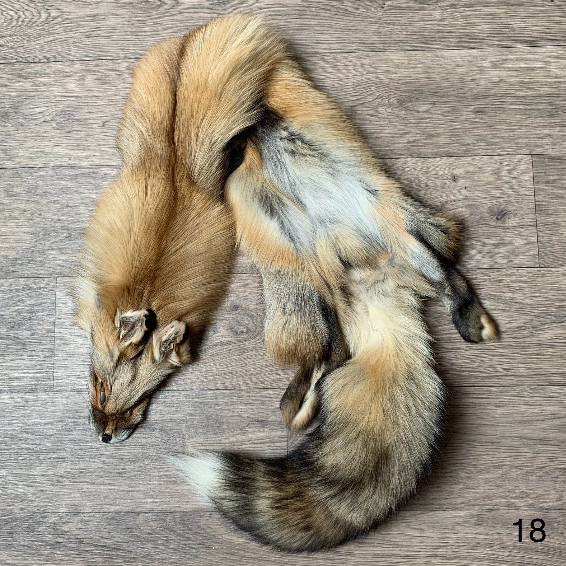 Gold fox pelt (18) – Orange Lion Creations