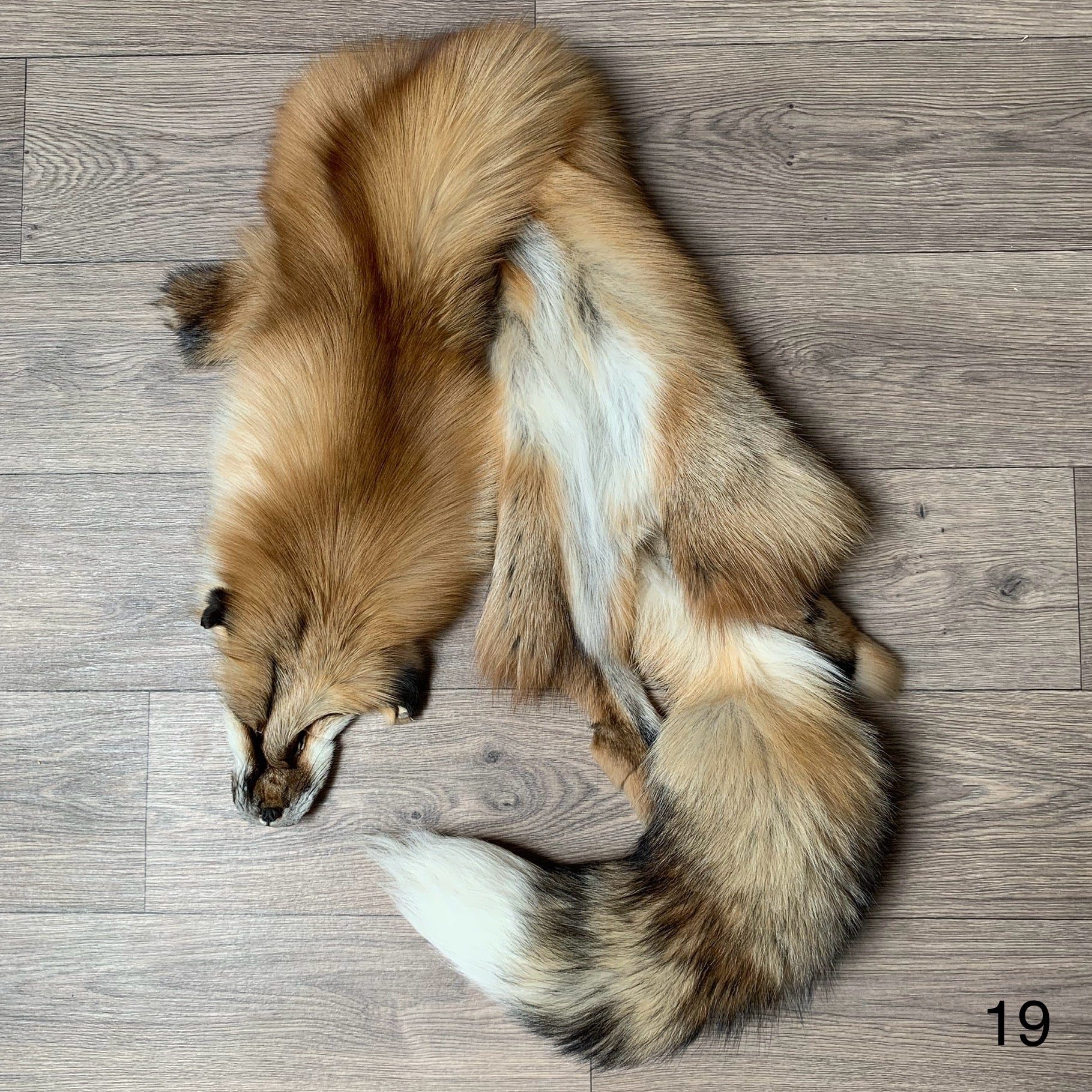 Gold fox pelt (19) – Orange Lion Creations