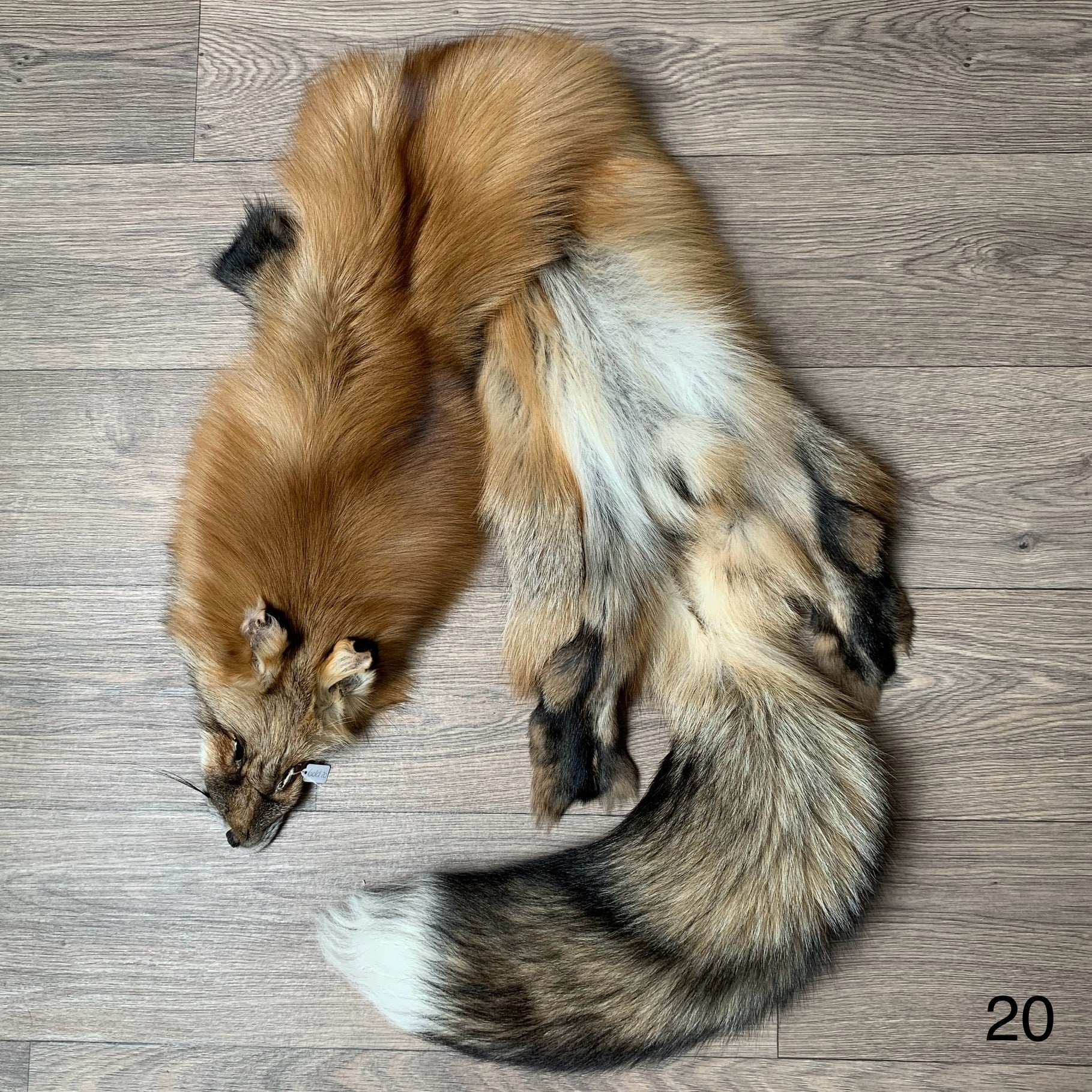 Gold fox pelt (20) – Orange Lion Creations