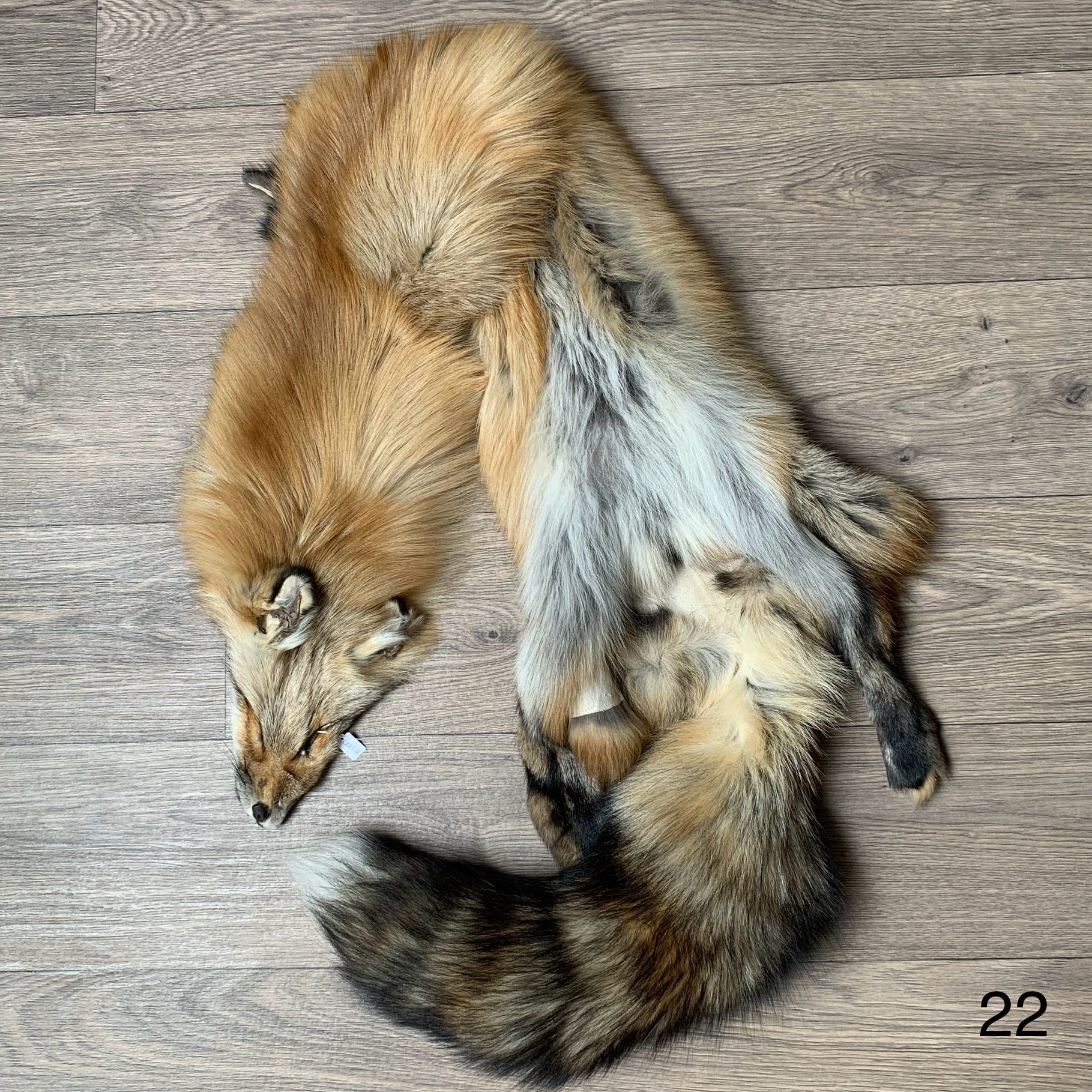 Gold fox pelt (22) – Orange Lion Creations