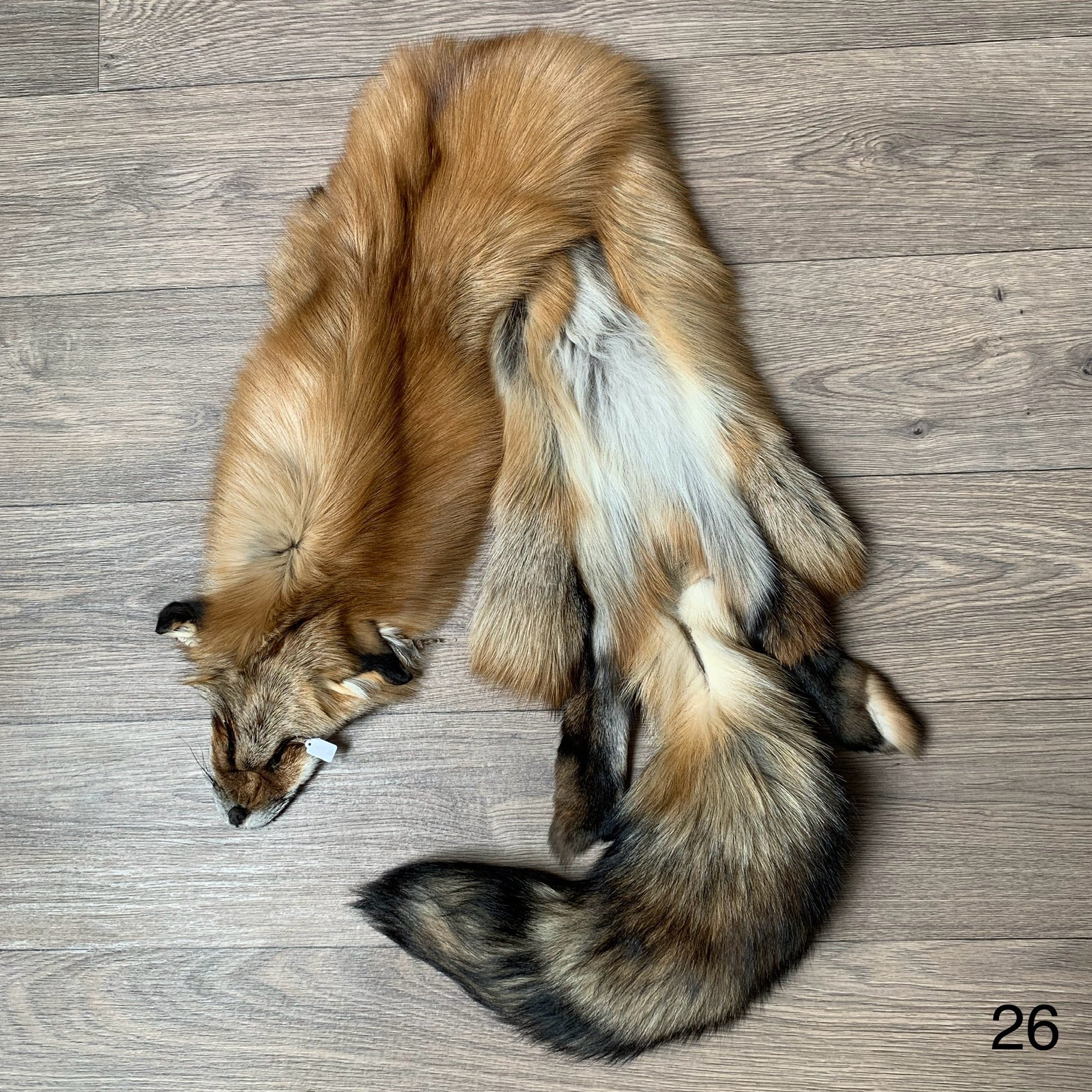 Gold fox pelt (26) – Orange Lion Creations