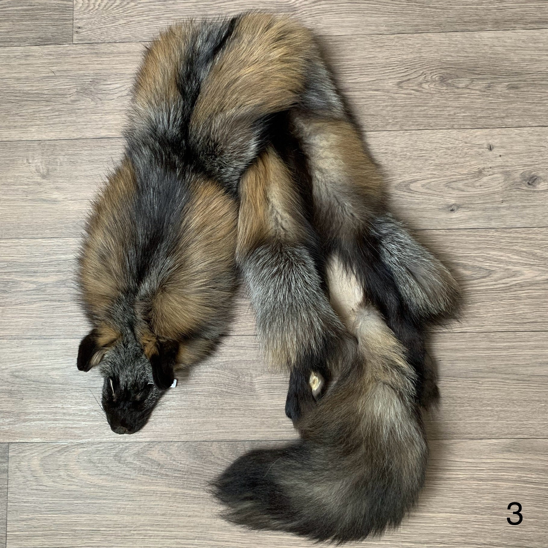 Cross fox pelt (3) – Orange Lion Creations