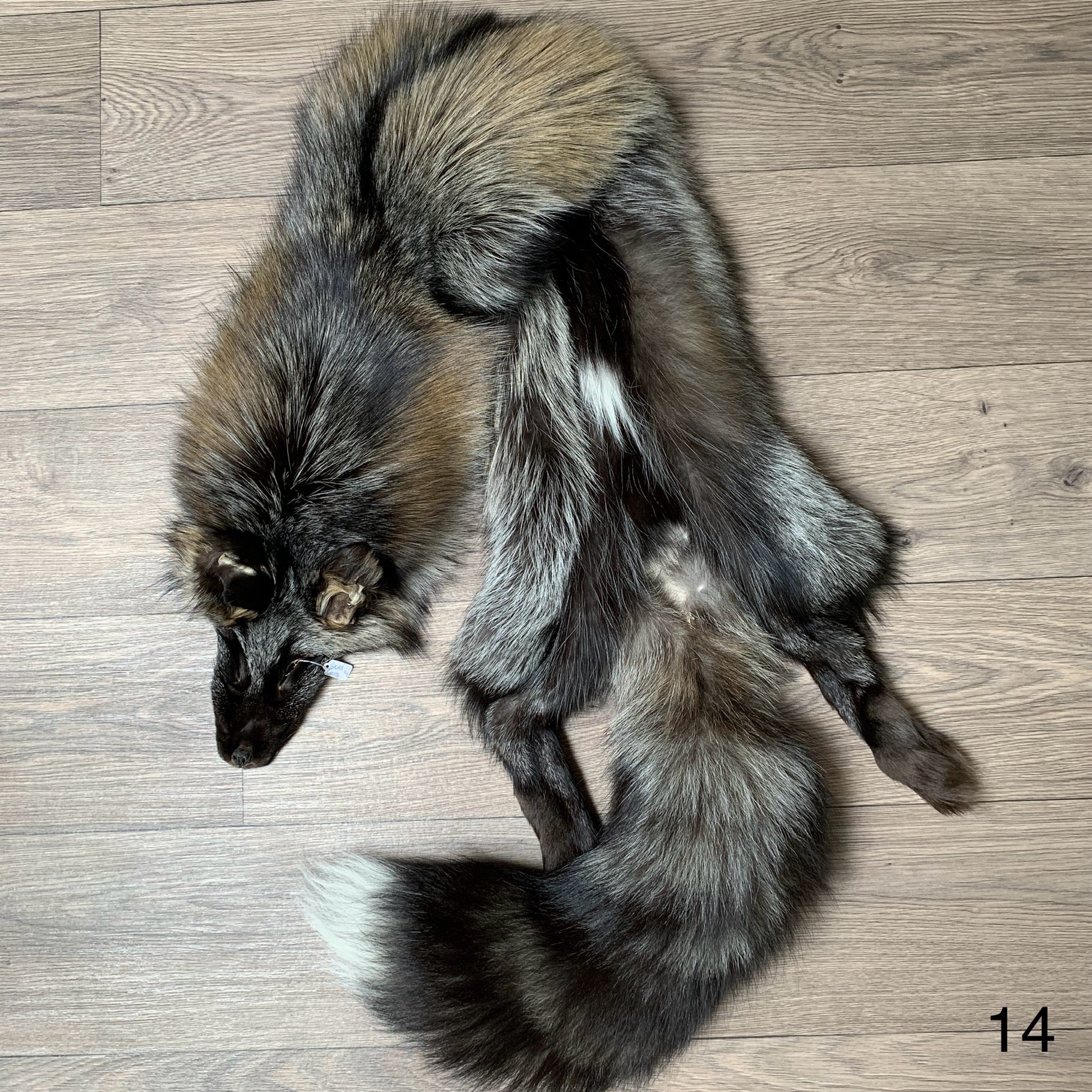Cross fox pelt (14) – Orange Lion Creations