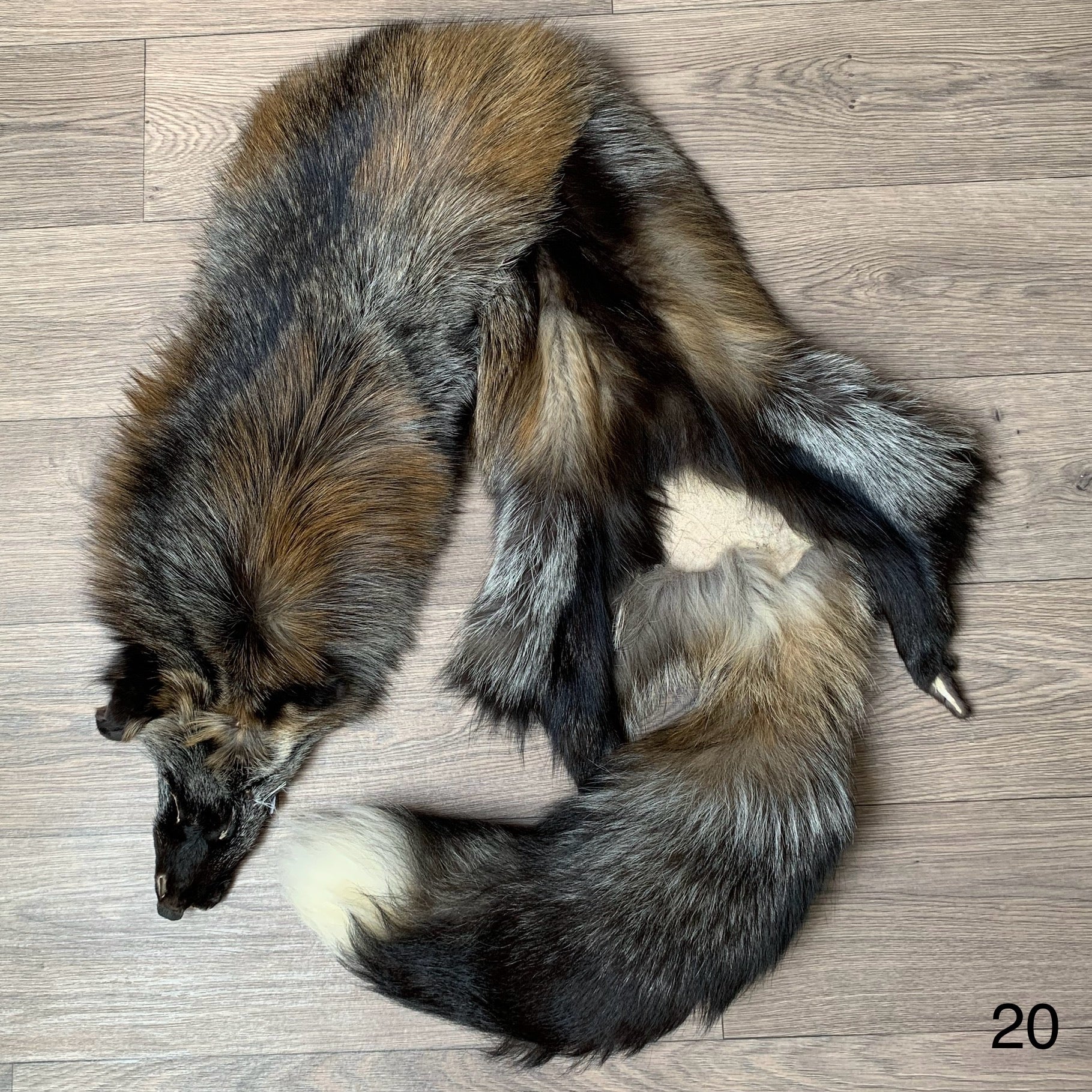 Cross fox pelt (20) – Orange Lion Creations