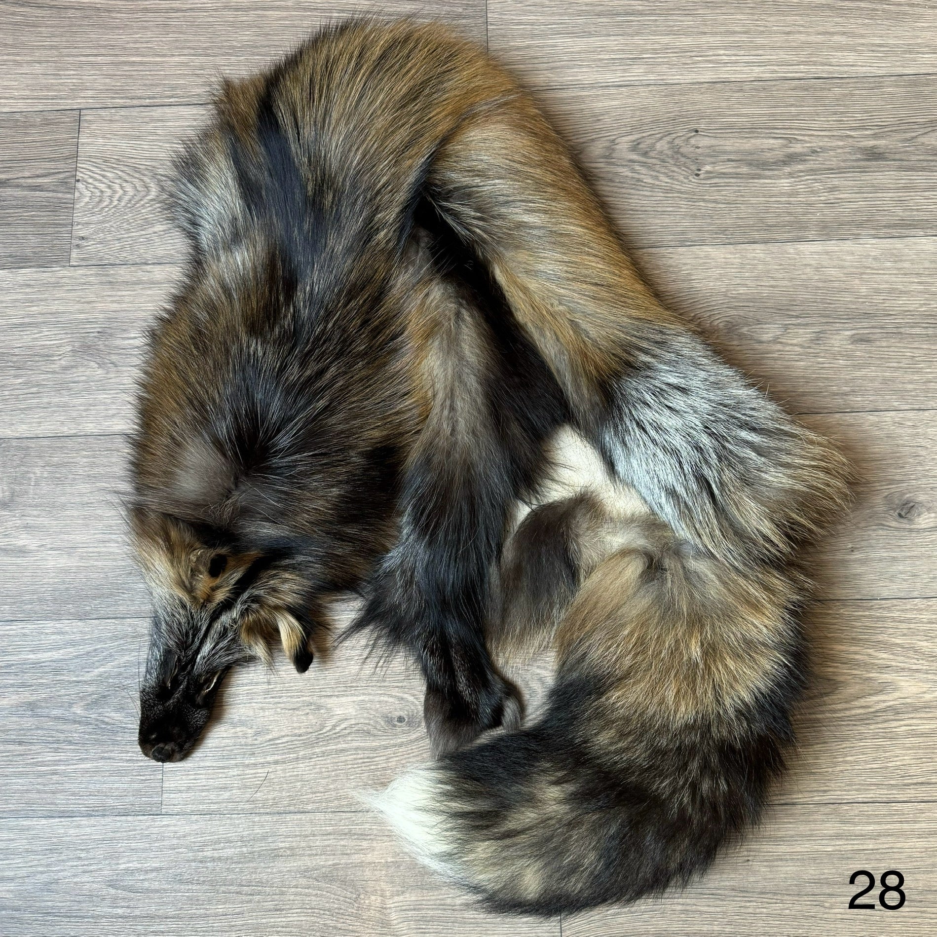 Cross fox pelt (28) – Orange Lion Creations