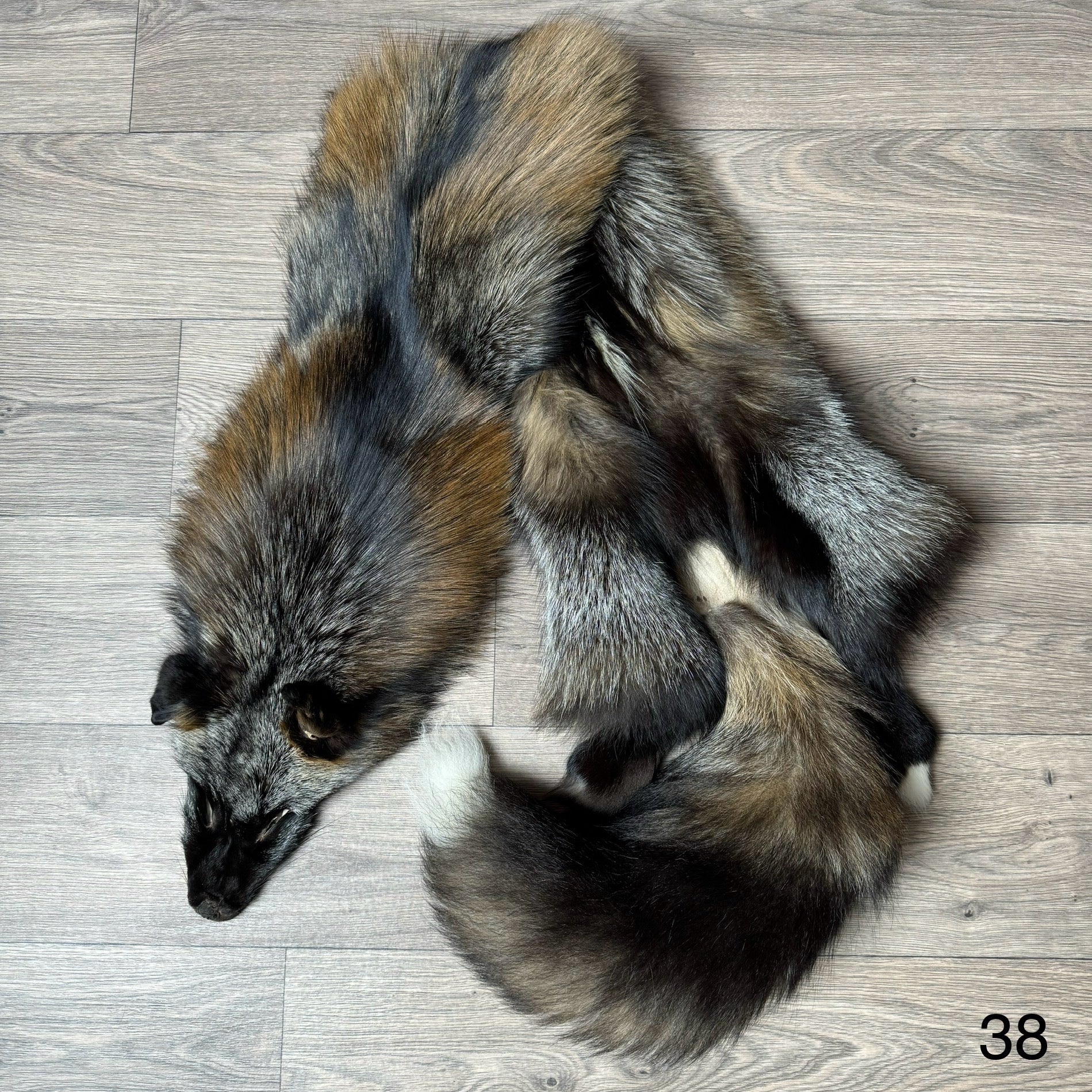 Cross fox pelt (38) – Orange Lion Creations