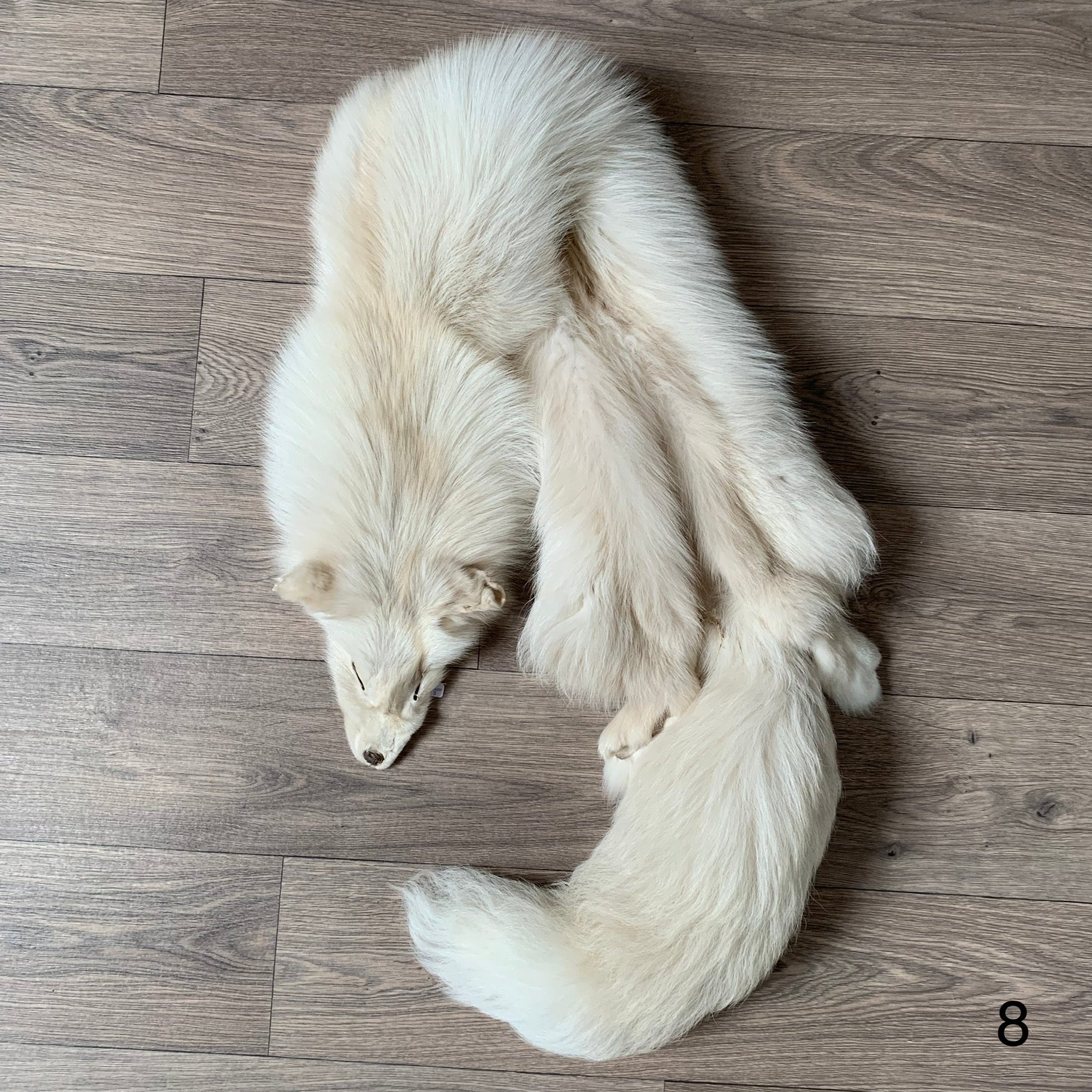 Palomino fox pelt (8) – Orange Lion Creations