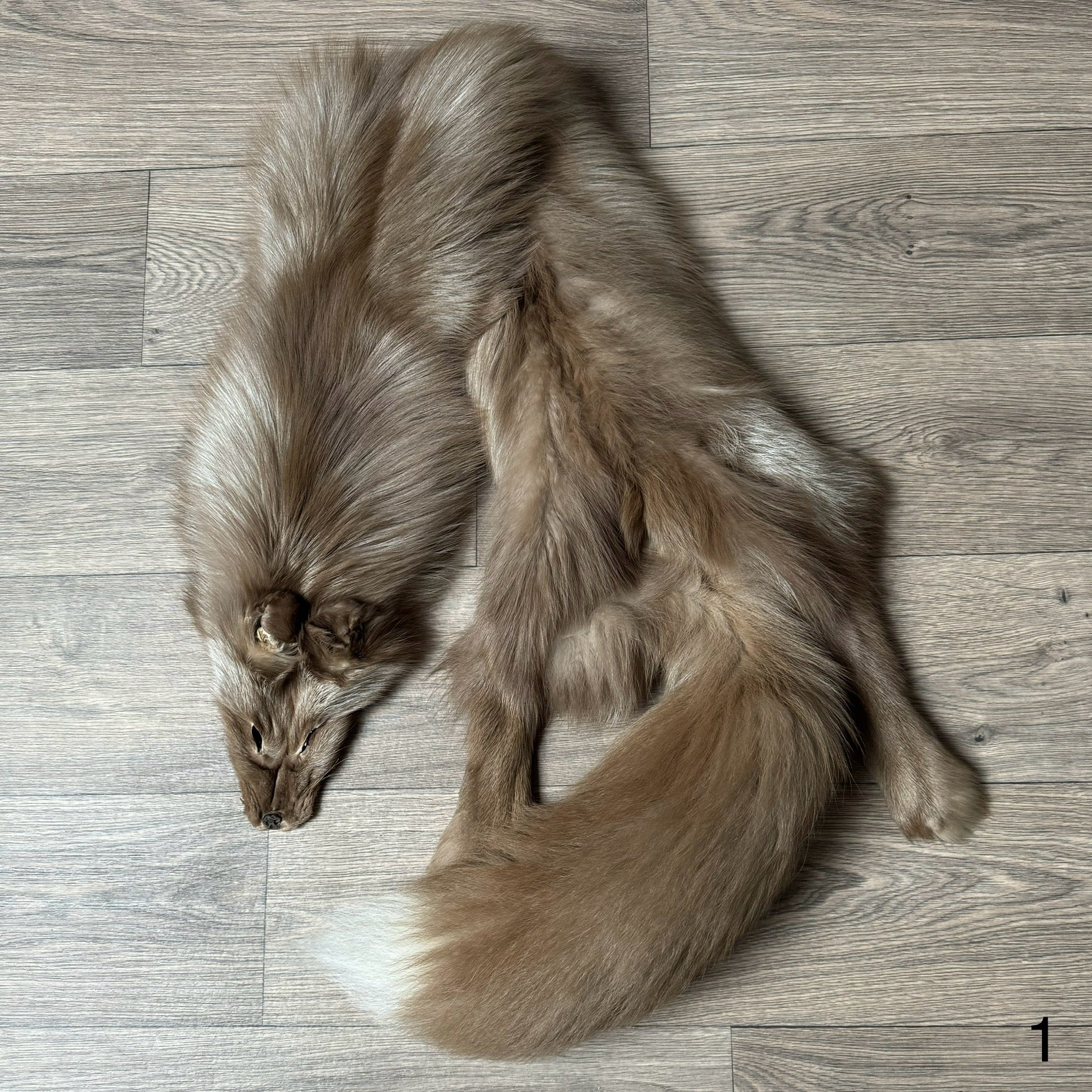 Polish Pastel fox pelt (1) – Orange Lion Creations