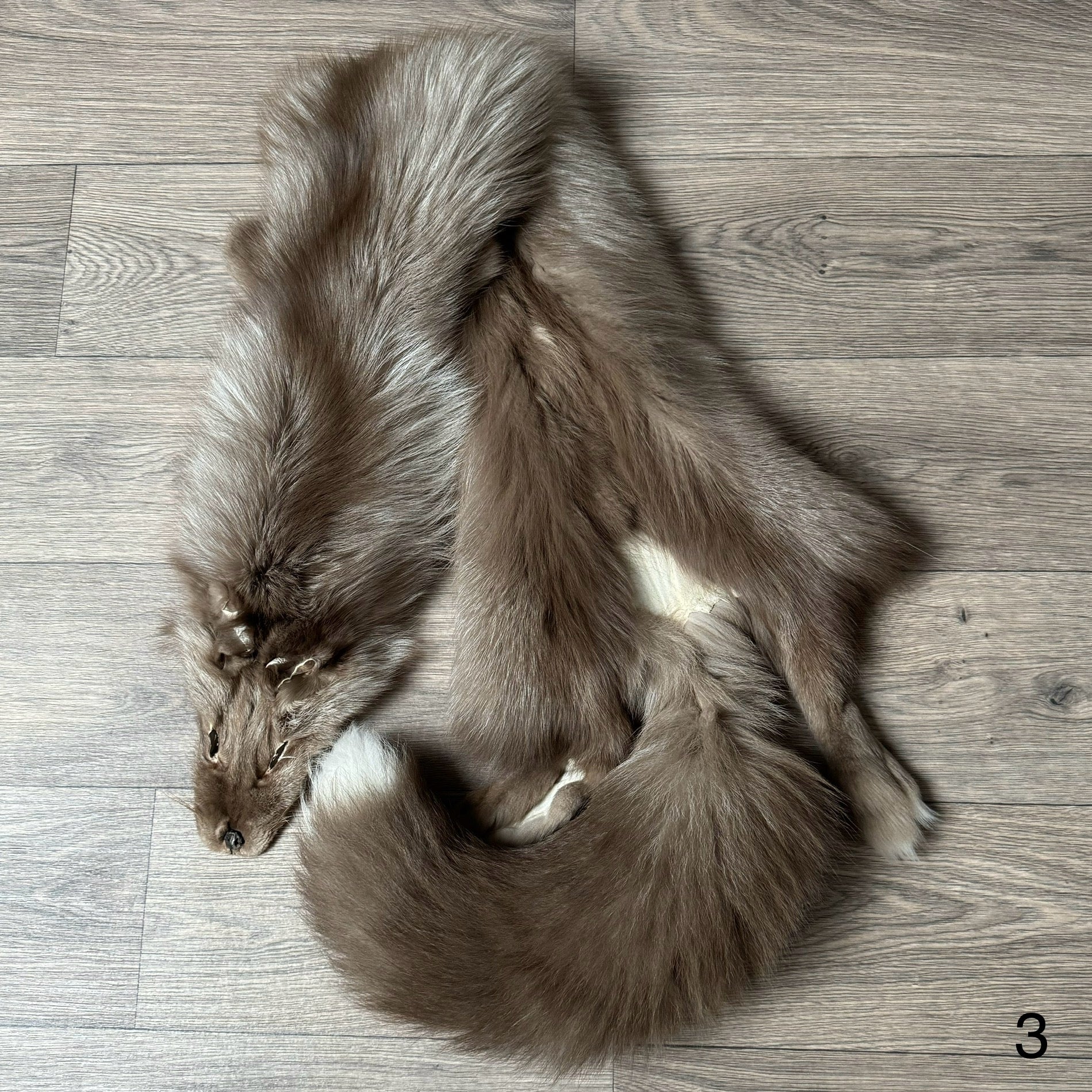 Polish Pastel fox pelt (3) – Orange Lion Creations