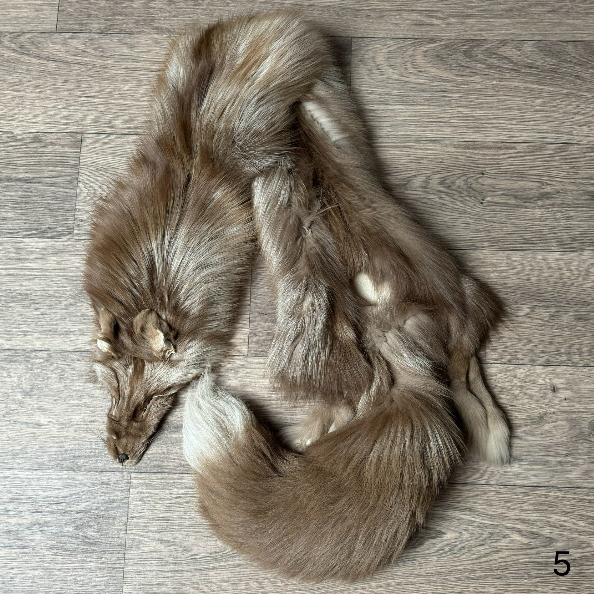 Polish Pastel fox pelt (5) – Orange Lion Creations