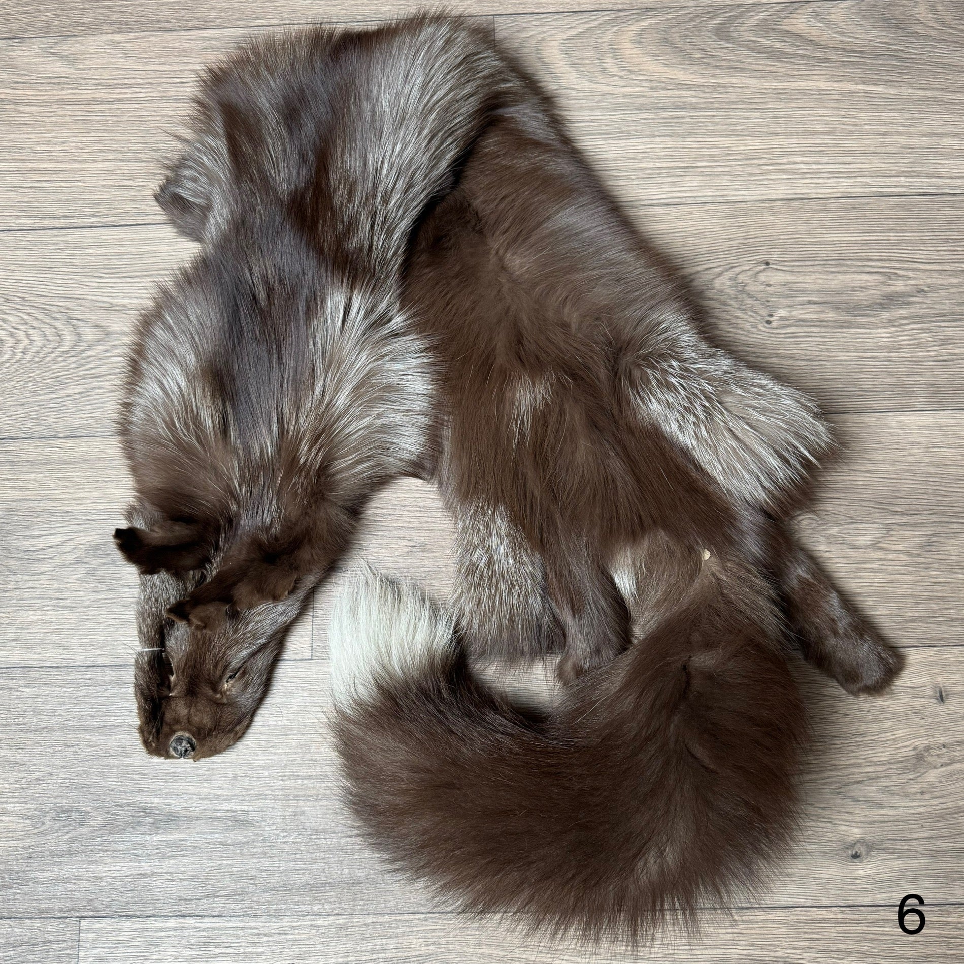 Polish Pastel fox pelt (6) – Orange Lion Creations
