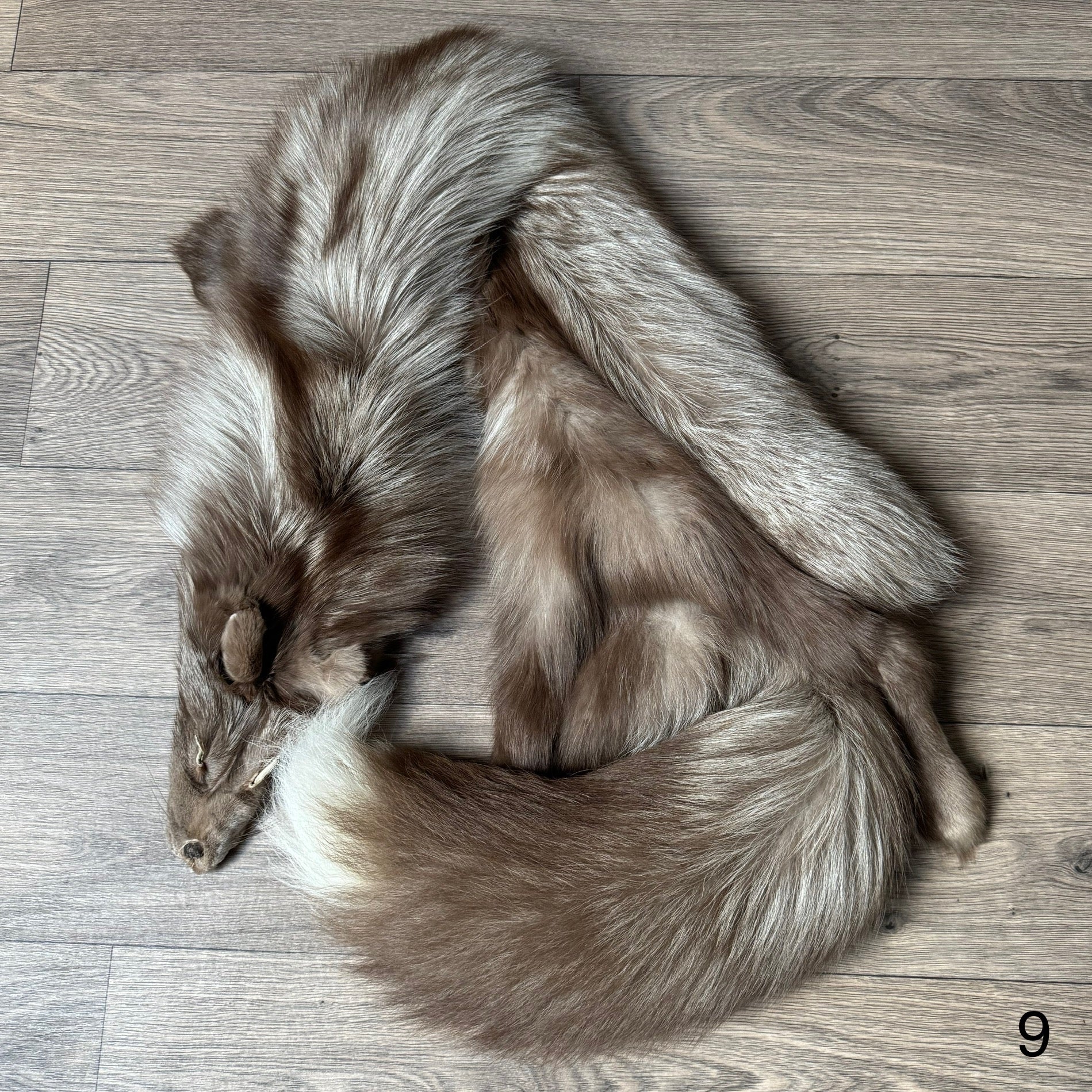 Polish Pastel fox pelt (9) – Orange Lion Creations