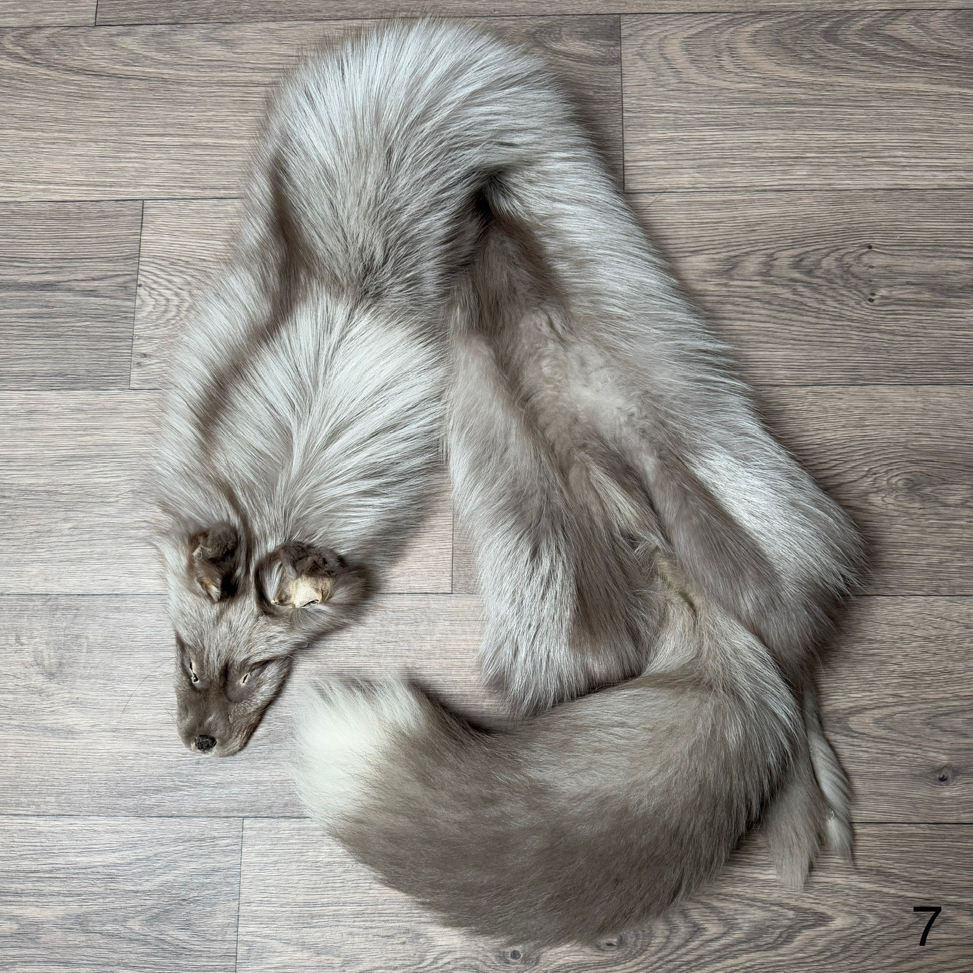 Fawn Glow fox pelt (7) – Orange Lion Creations