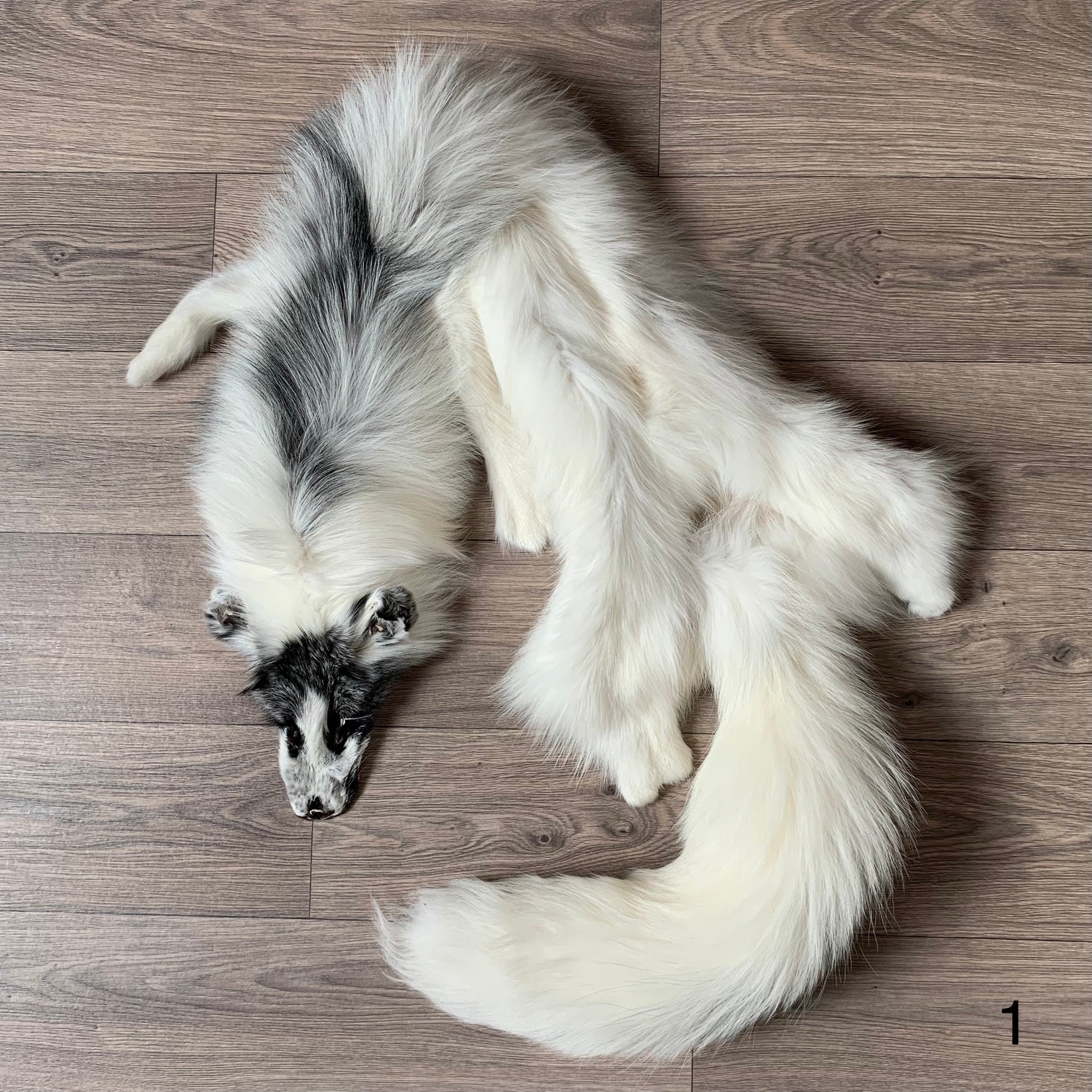 Arctic Marble fox pelt (1) – Orange Lion Creations