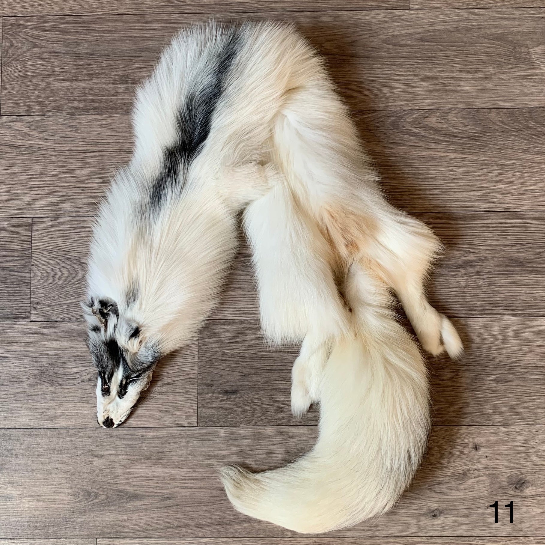 Arctic Marble fox pelt (11) – Orange Lion Creations
