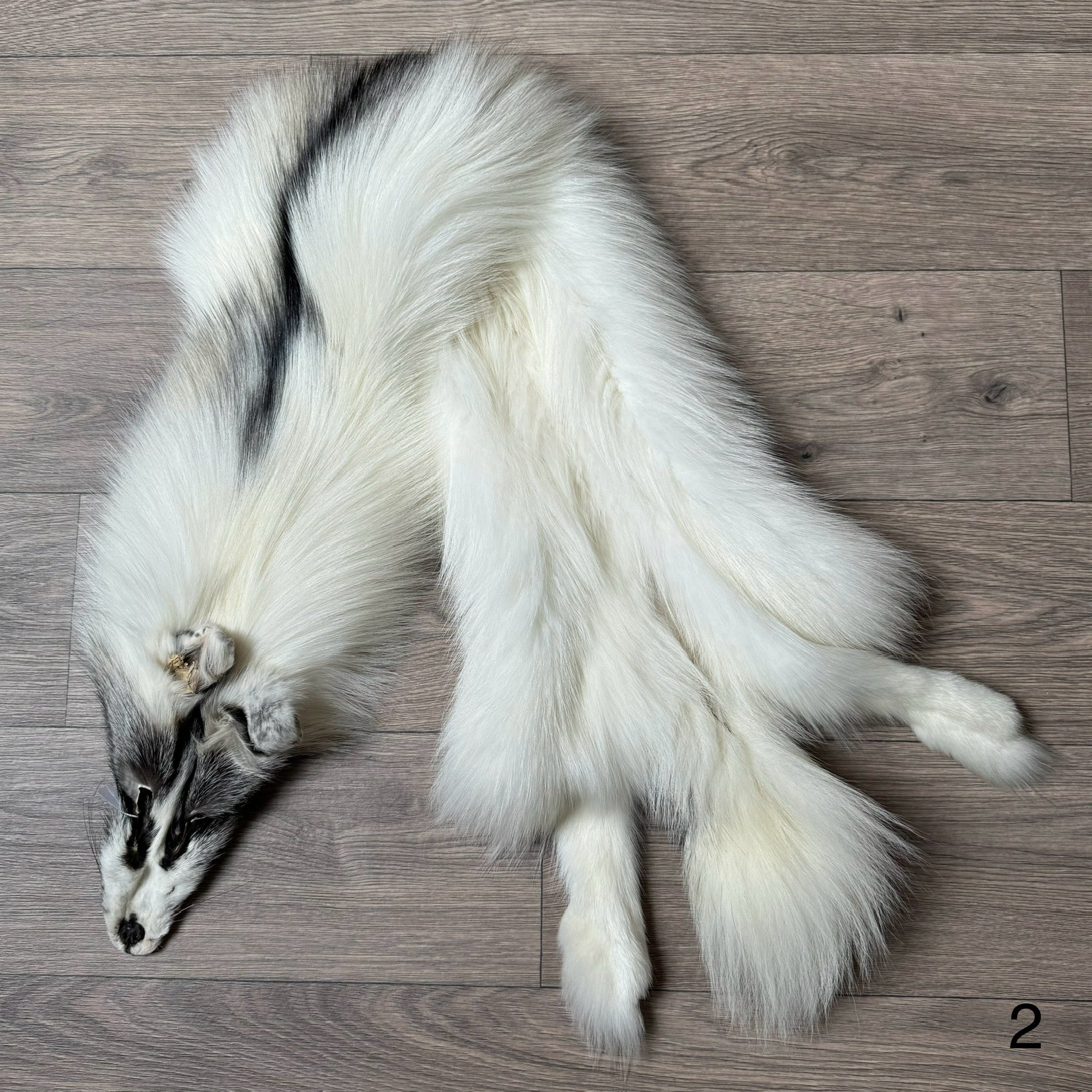 Cross Marble fox pelt (2) – Orange Lion Creations