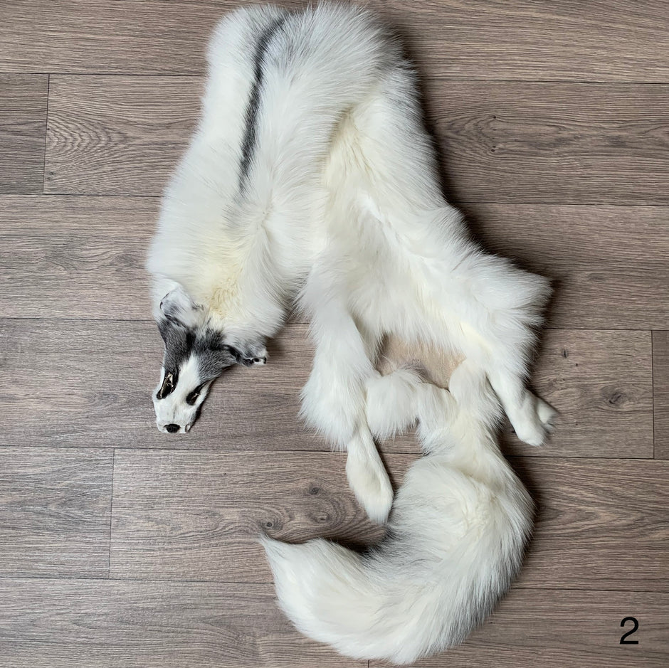 Marble Frost fox – Orange Lion Creations