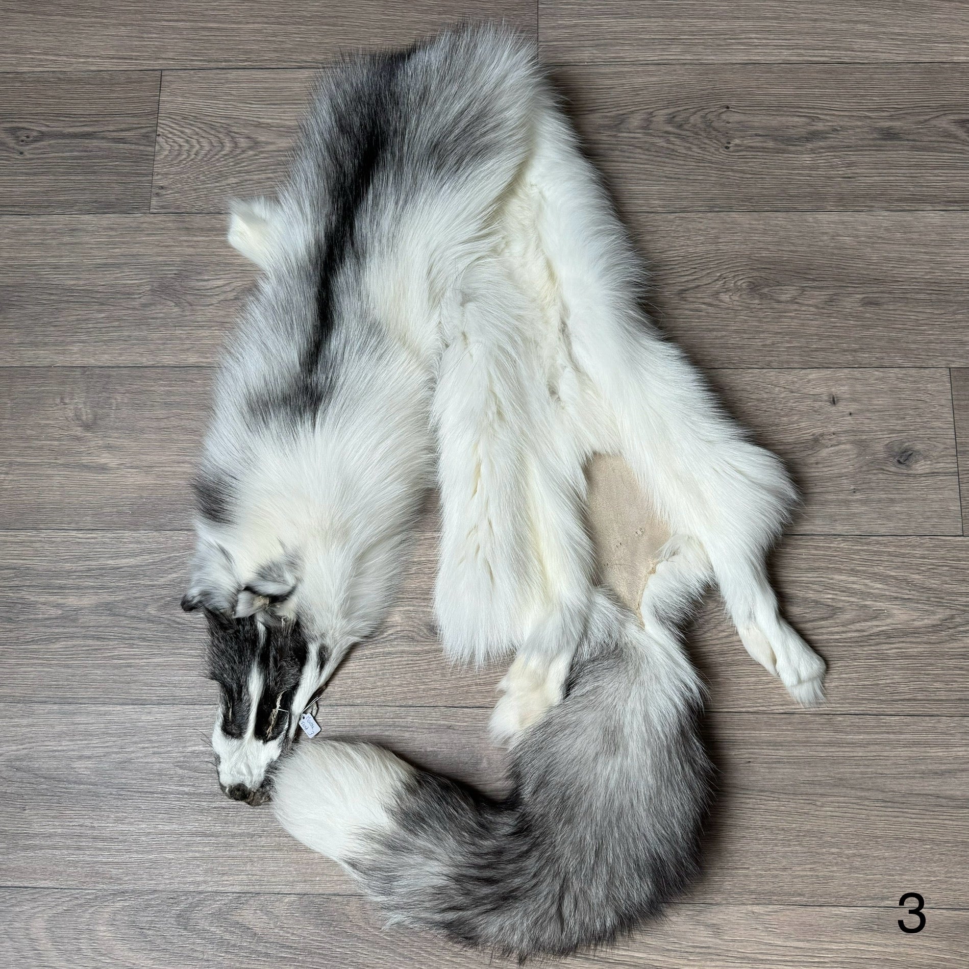 Marble Frost fox pelt (3) – Orange Lion Creations