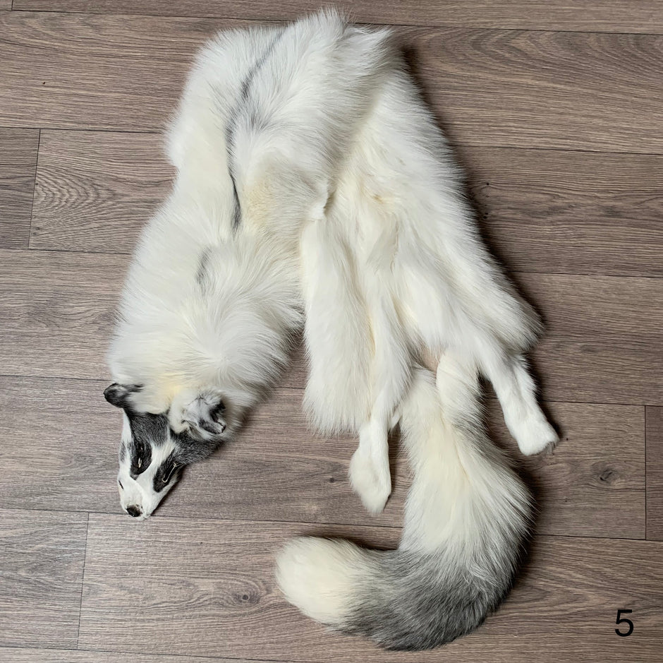 Marble Frost fox – Orange Lion Creations