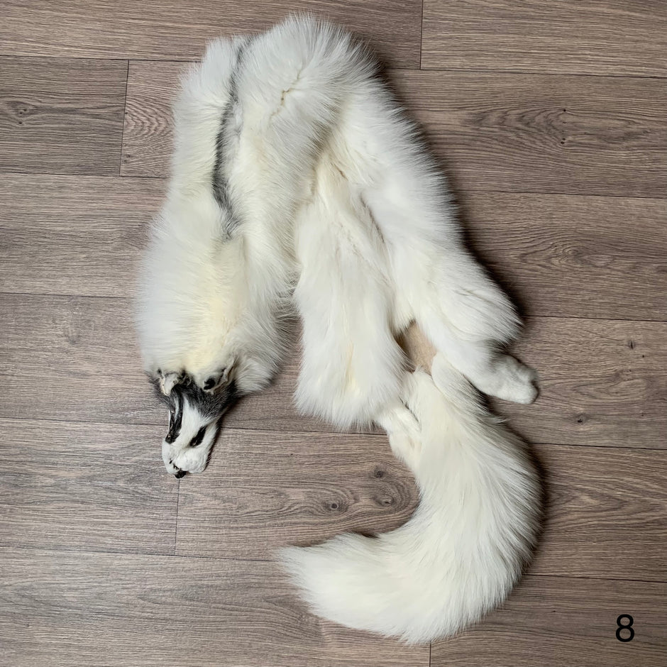 Marble Frost fox – Orange Lion Creations