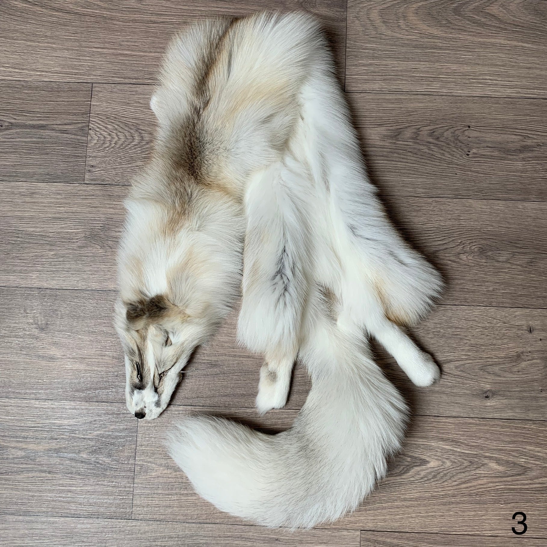 Shadow Golden Island fox pelt (3) – Orange Lion Creations