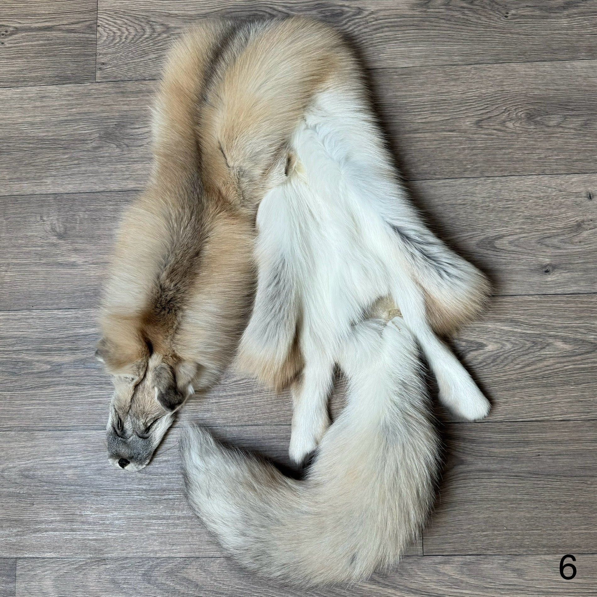 Gold Sapphire fox pelt (6) – Orange Lion Creations