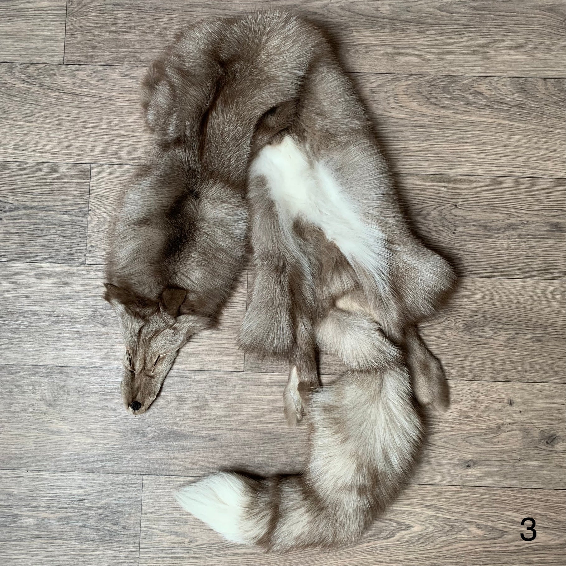 Amber Frost fox pelt (3) – Orange Lion Creations