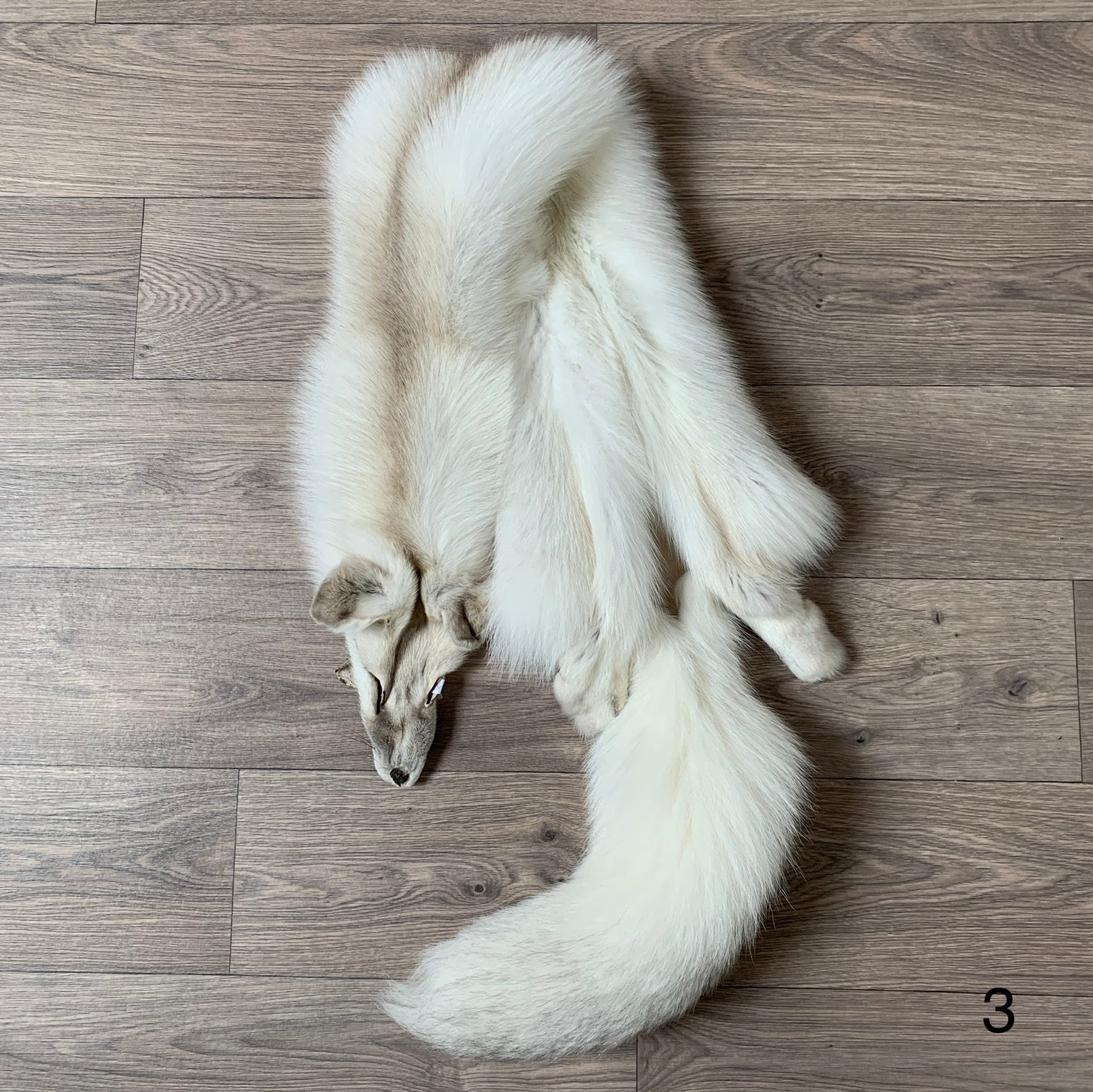 Fawn Light Brown fox pelt (3) – Orange Lion Creations