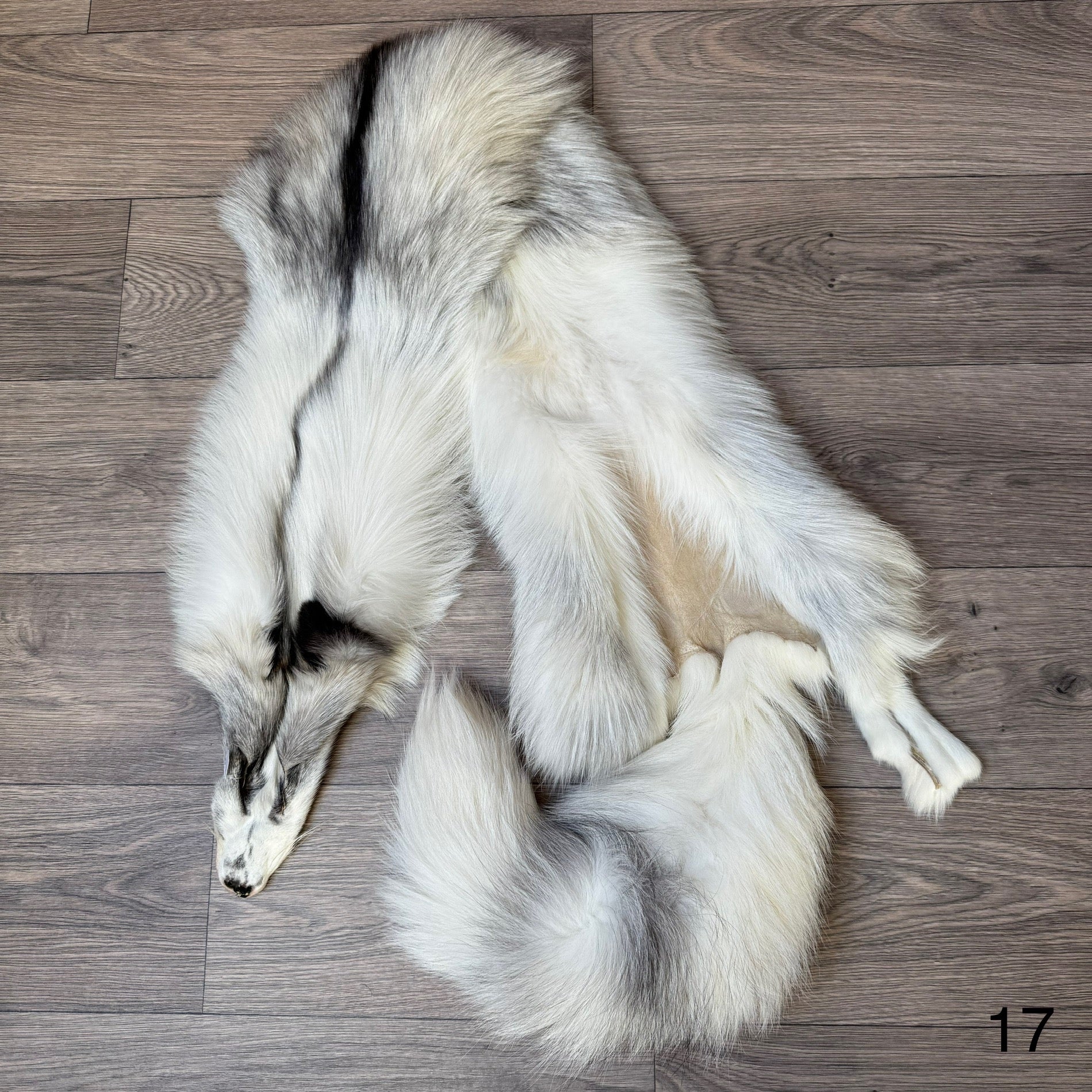 Cross Platinum fox pelt (17) – Orange Lion Creations